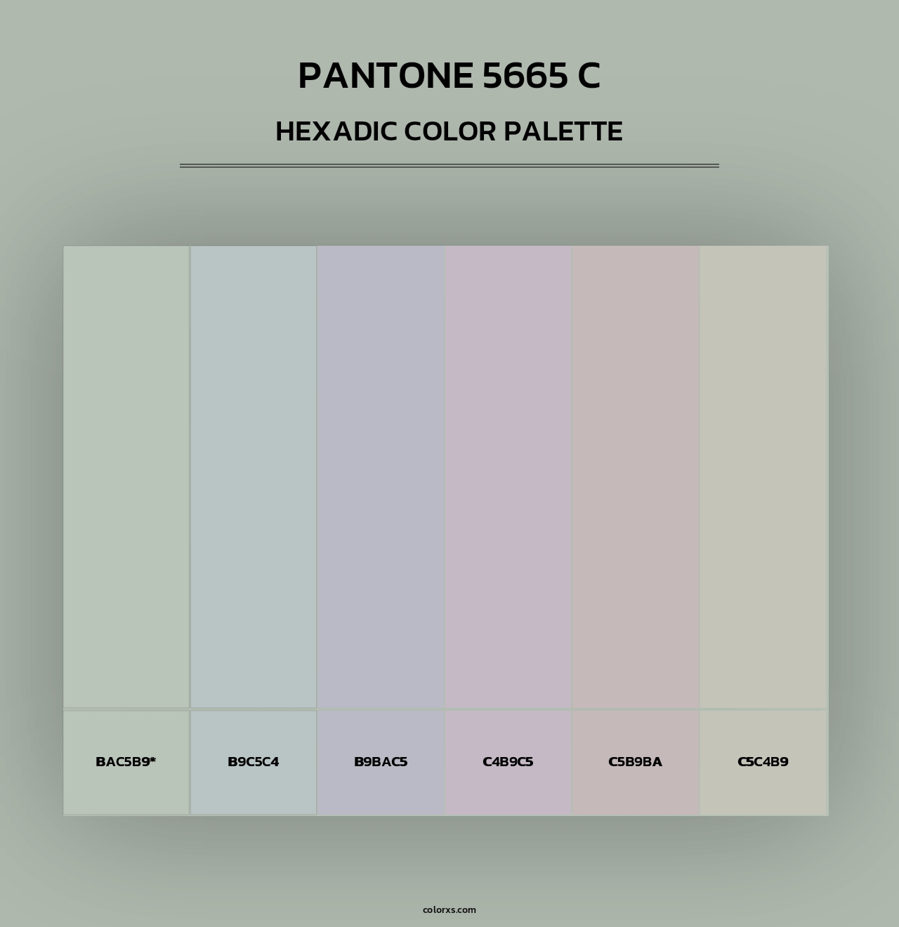 PANTONE 5665 C color palettes - colorxs.com