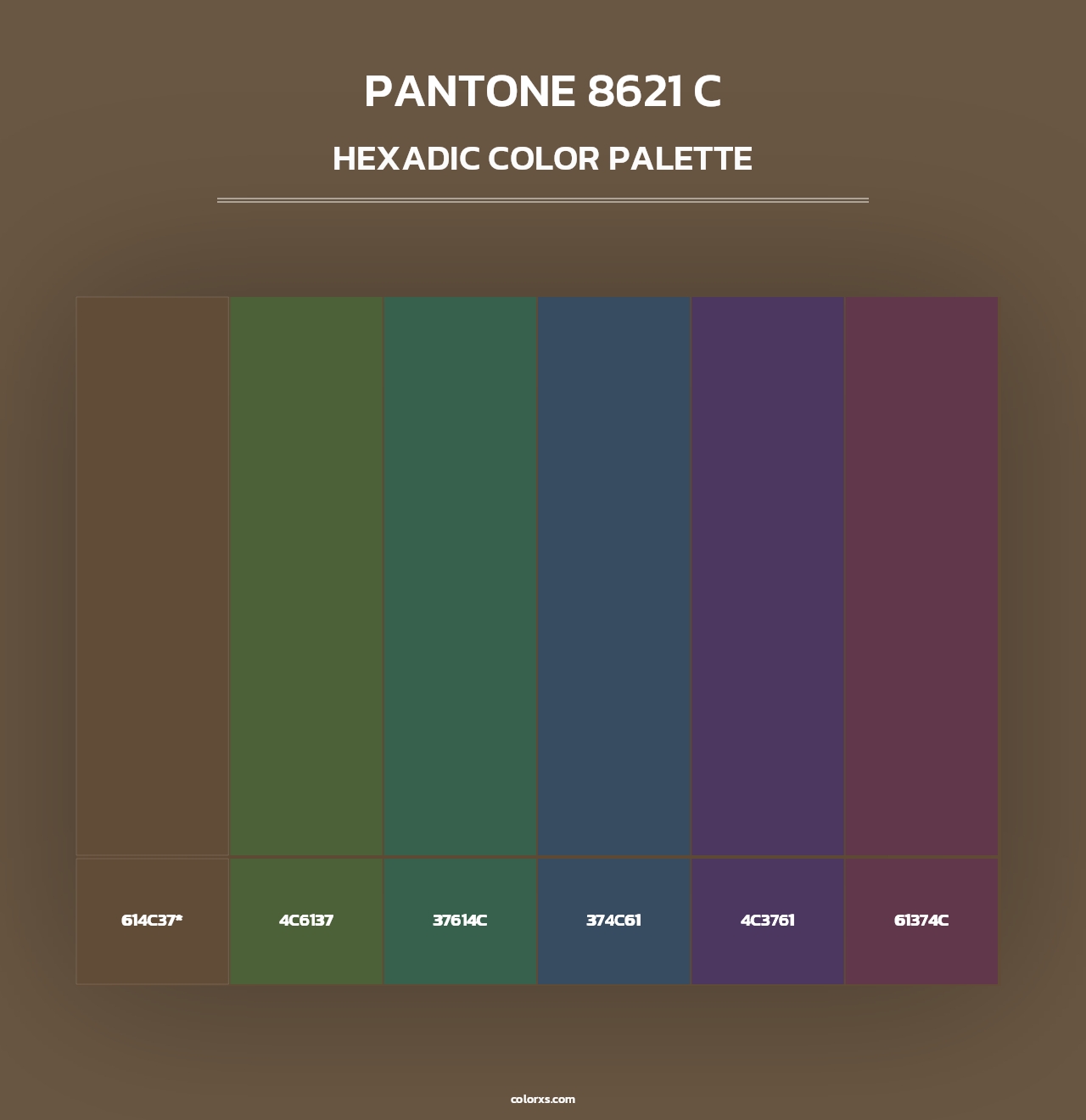 PANTONE 8621 C color palettes - colorxs.com