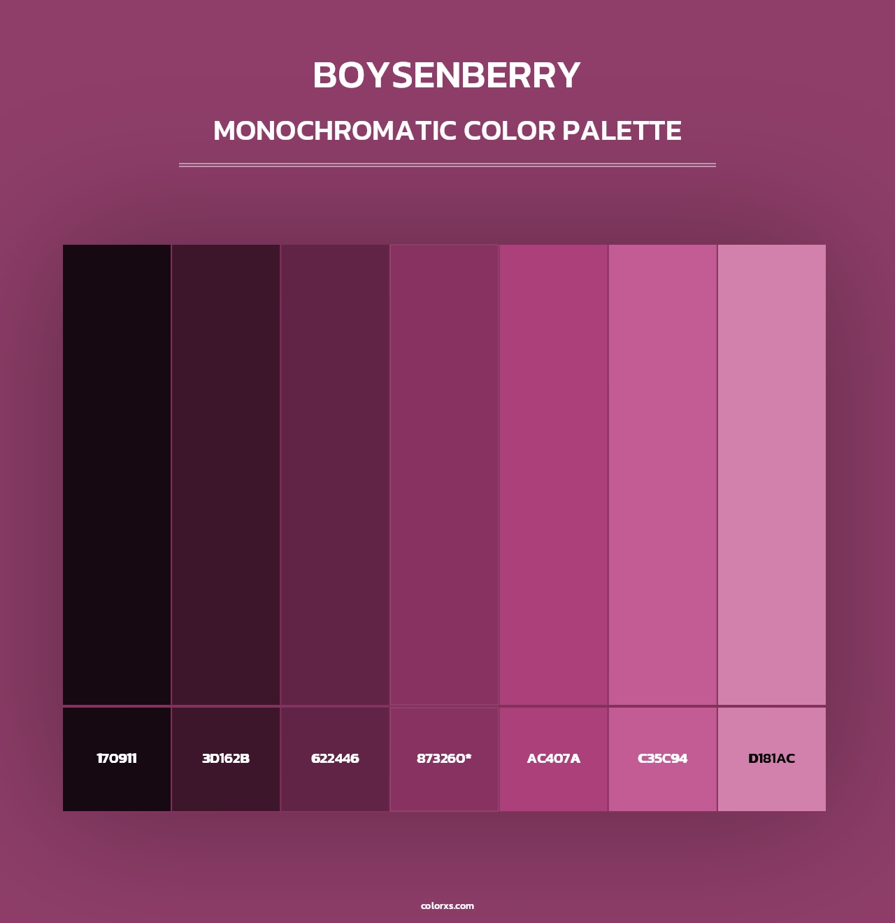 Monochromatic Color Palettes And Scheme Combinations Colorxs