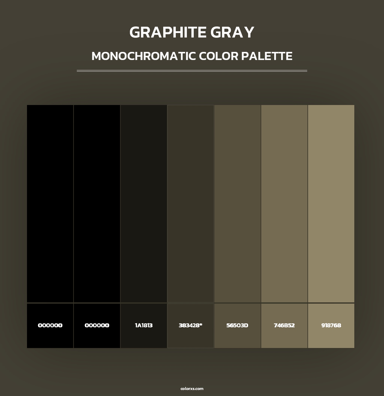 Graphite Gray color palettes - colorxs.com