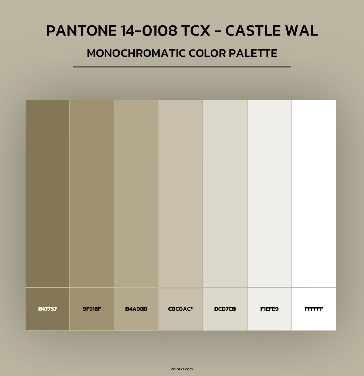 PANTONE 14-0108 TCX - Castle Wal color palettes - colorxs.com