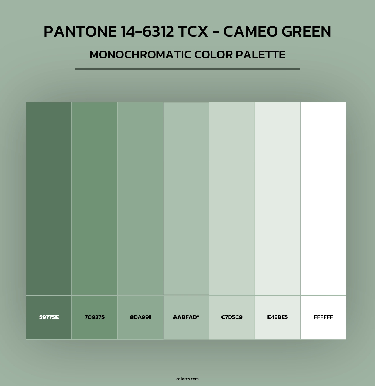 PANTONE 14-6312 TCX - Cameo Green color palettes - colorxs.com