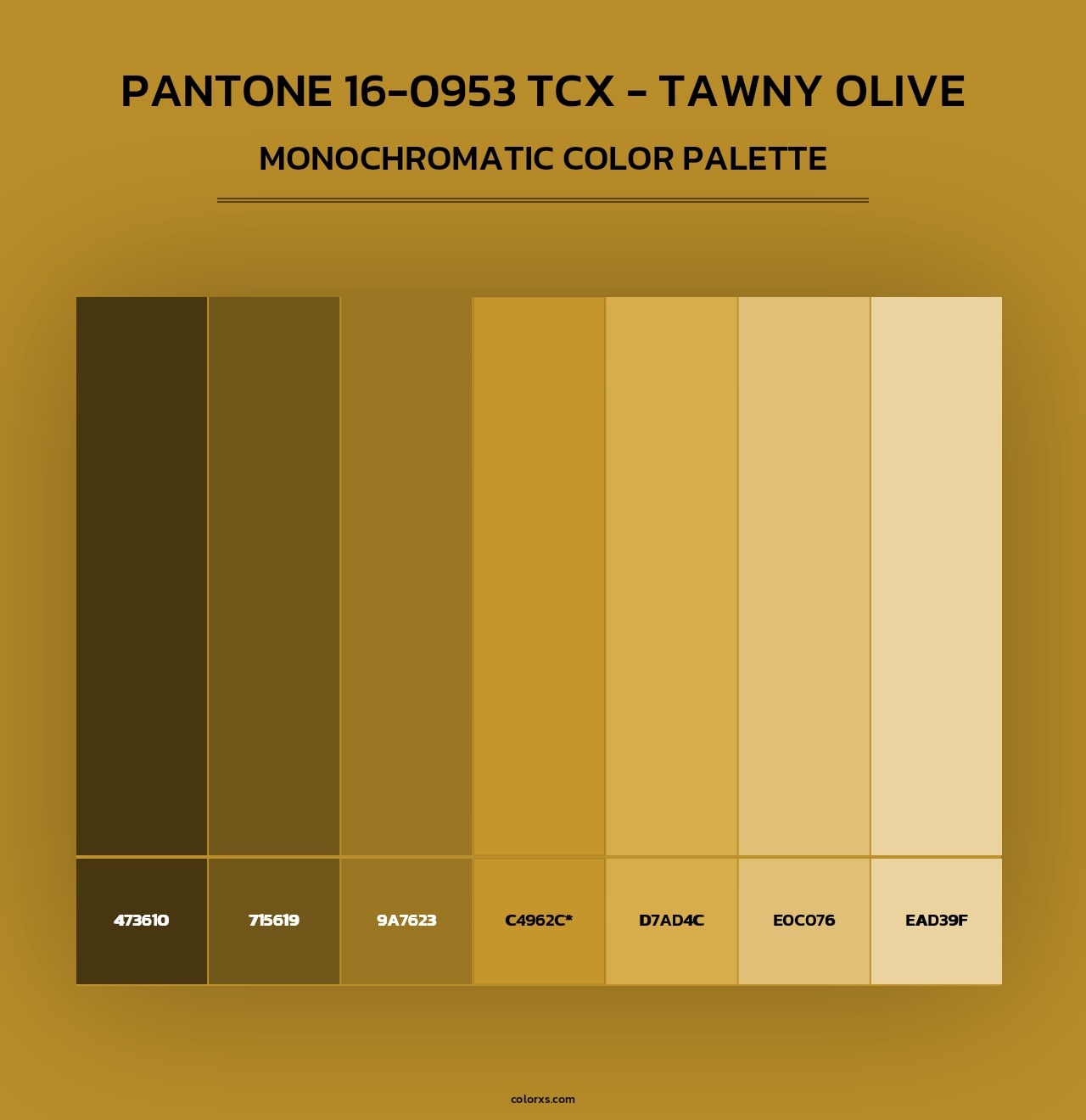 PANTONE 16-0953 TCX - Tawny Olive color palettes - colorxs.com