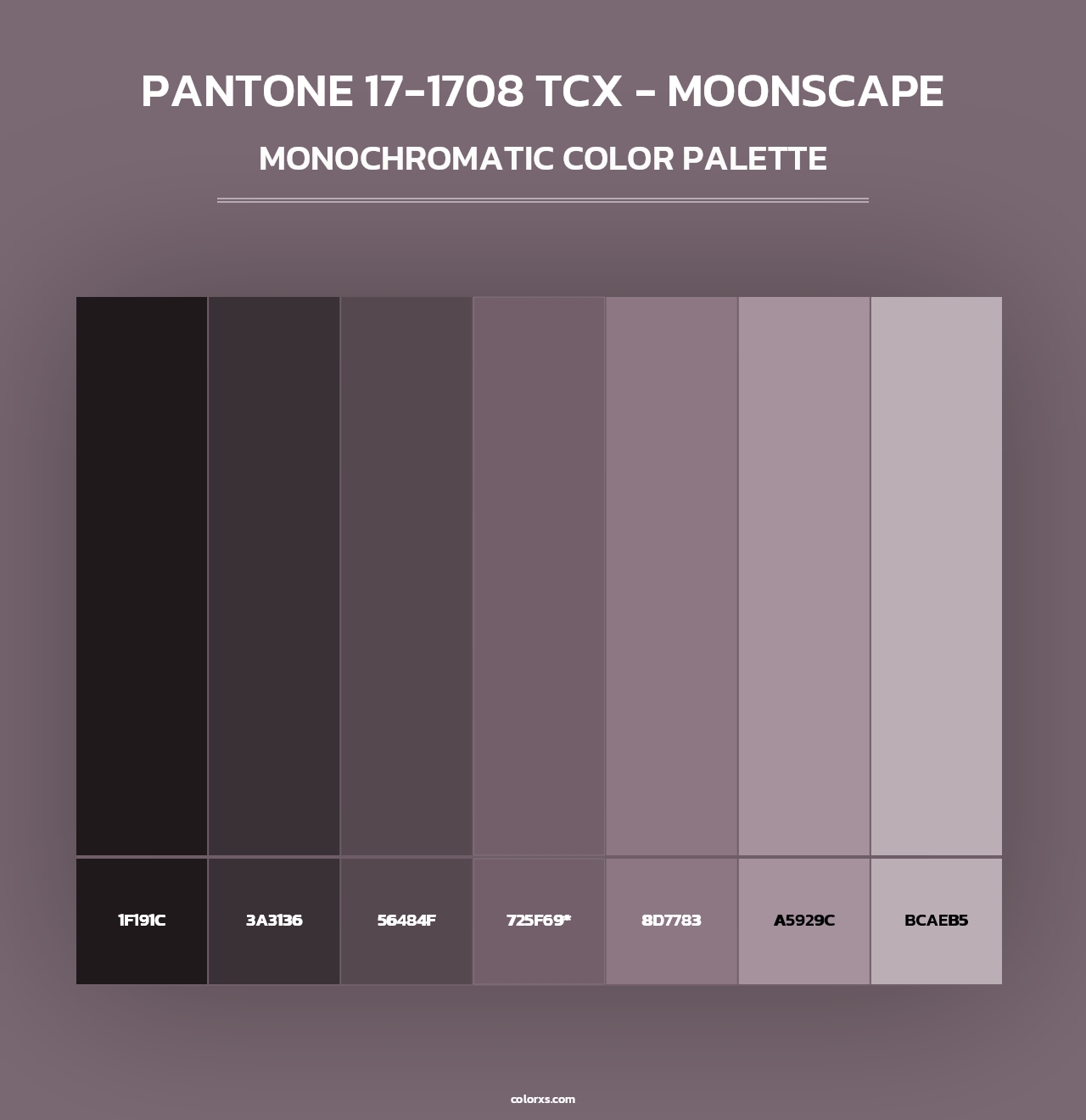 PANTONE 17-1708 TCX - Moonscape color palettes - colorxs.com