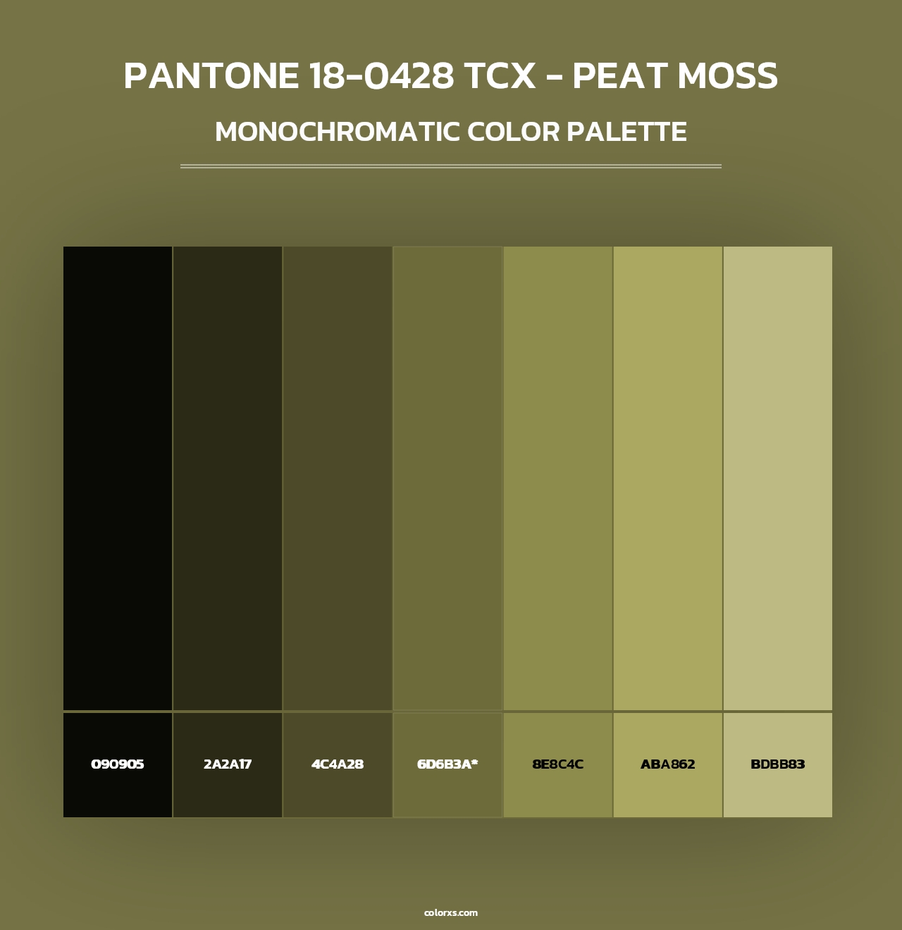 PANTONE 18-0428 TCX - Peat Moss color palettes - colorxs.com