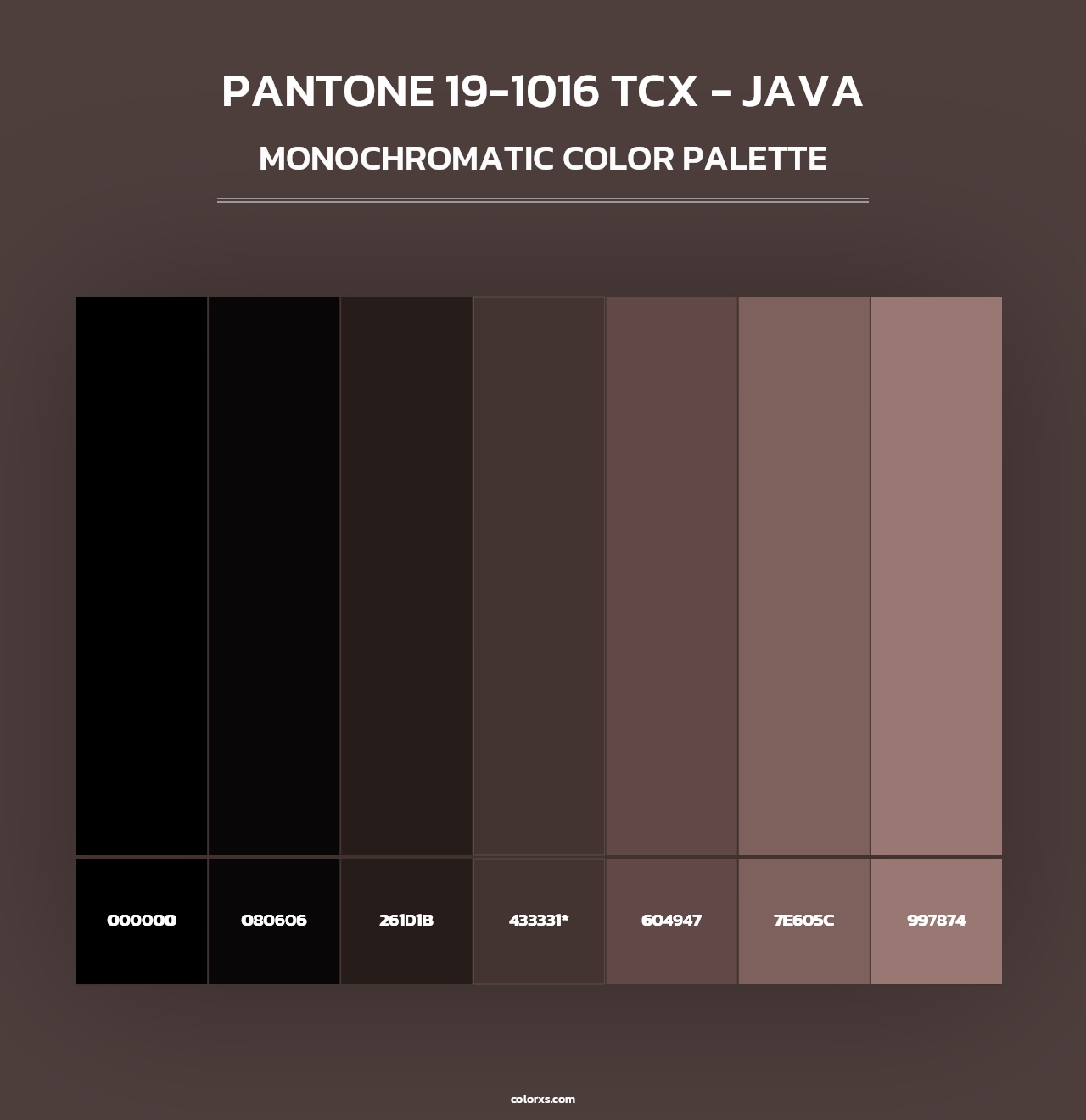 PANTONE 19-1016 TCX - Java color palettes - colorxs.com