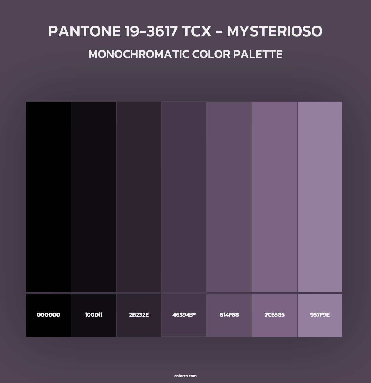 PANTONE 19-3617 TCX - Mysterioso color palettes - colorxs.com
