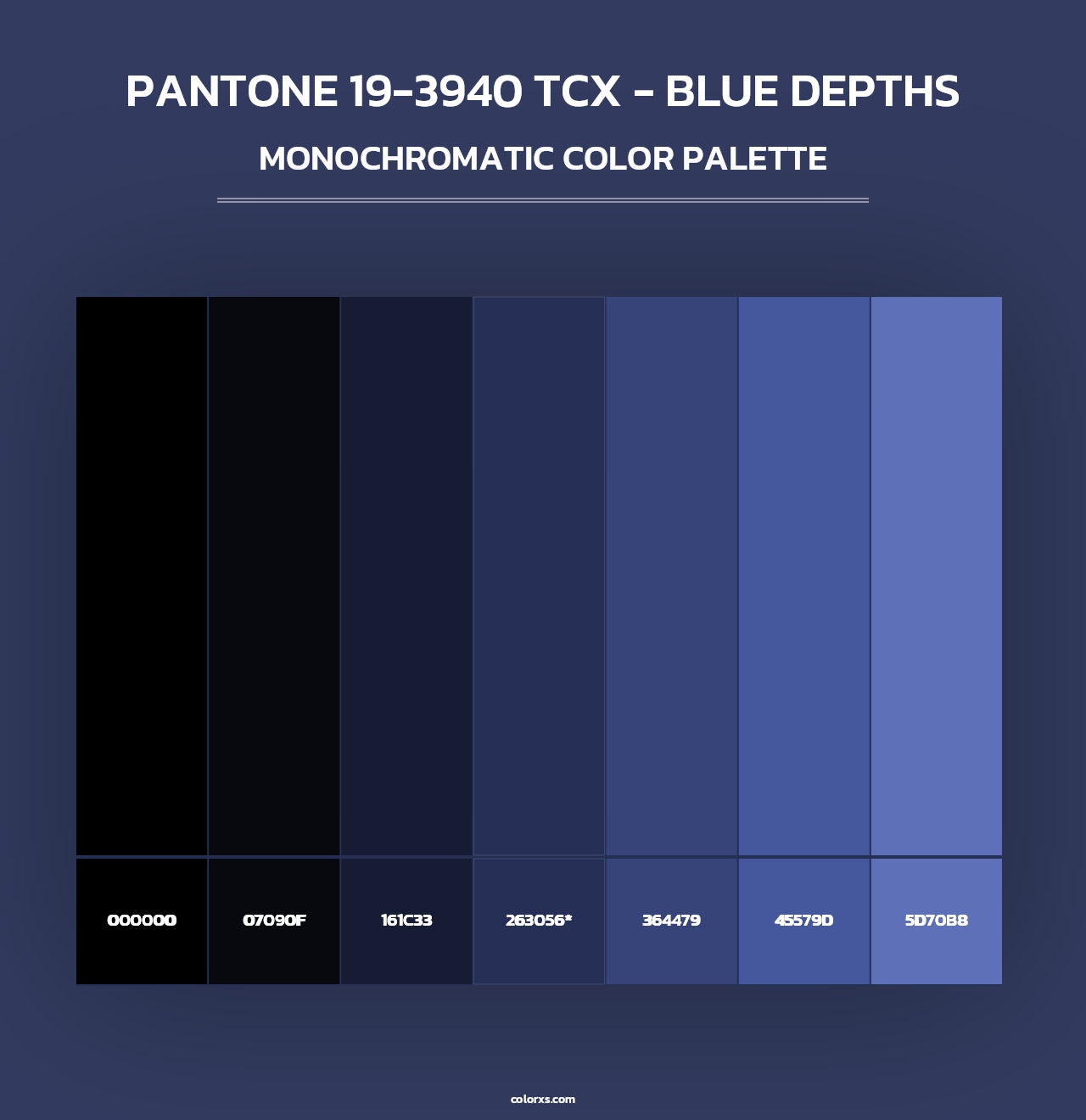 PANTONE 19-3940 TCX - Blue Depths color palettes - colorxs.com