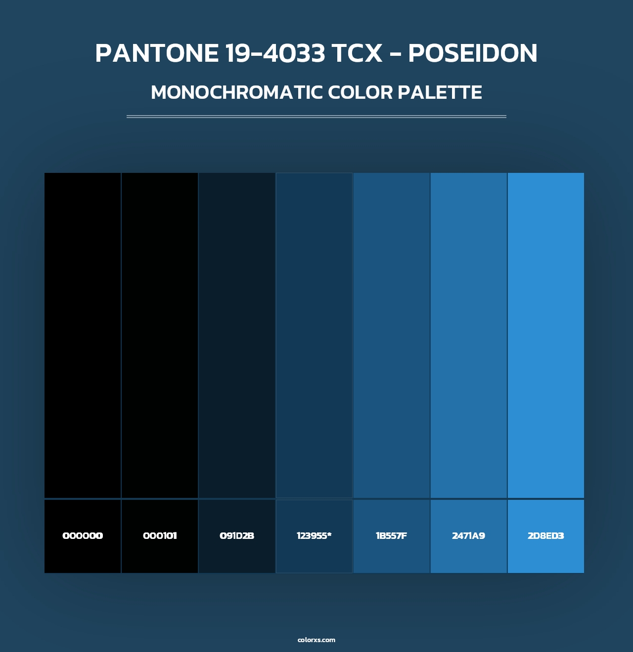 PANTONE 19-4033 TCX - Poseidon color palettes - colorxs.com