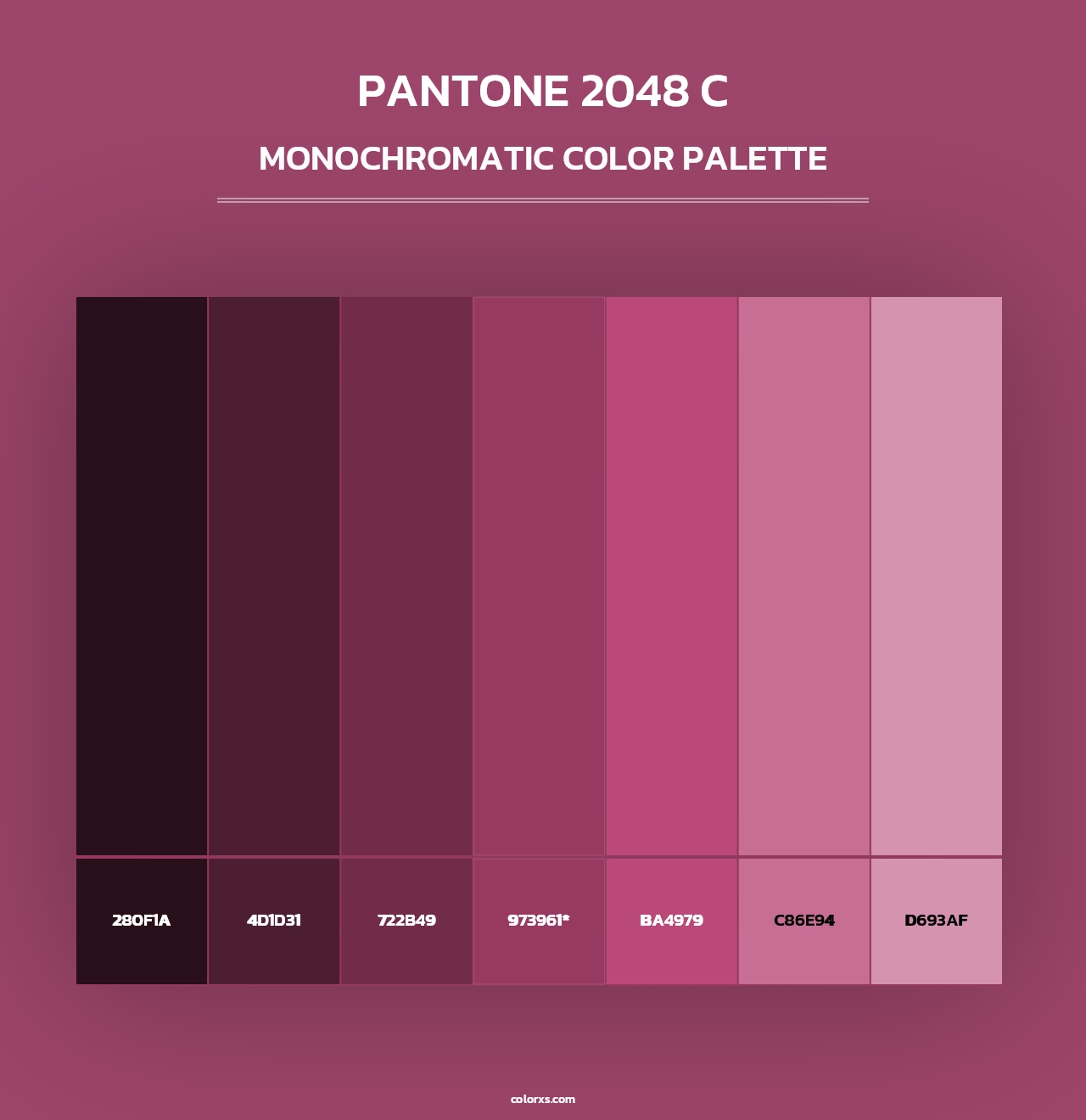 PANTONE 2048 C color palettes - colorxs.com