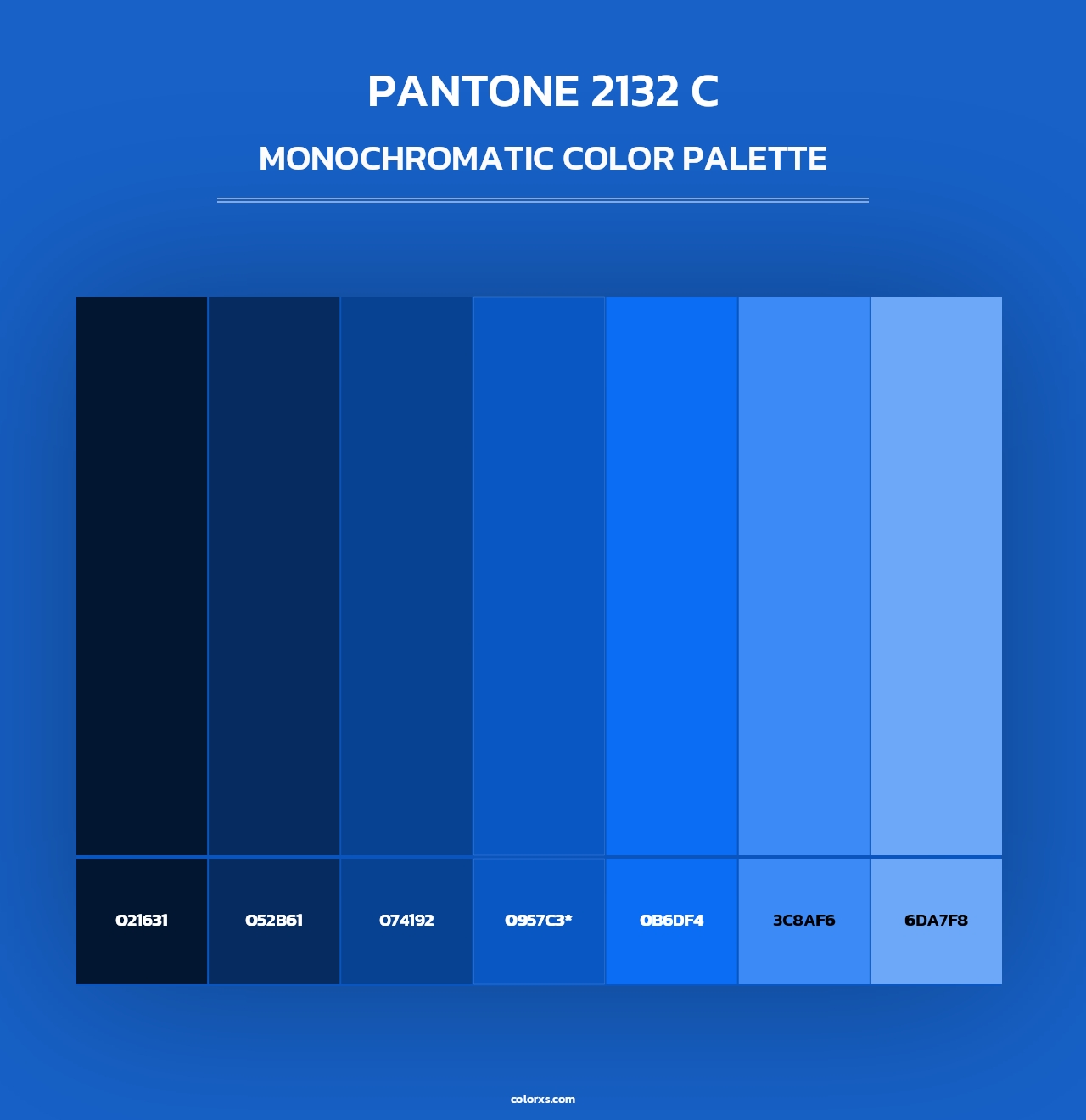 PANTONE 2132 C color palettes - colorxs.com