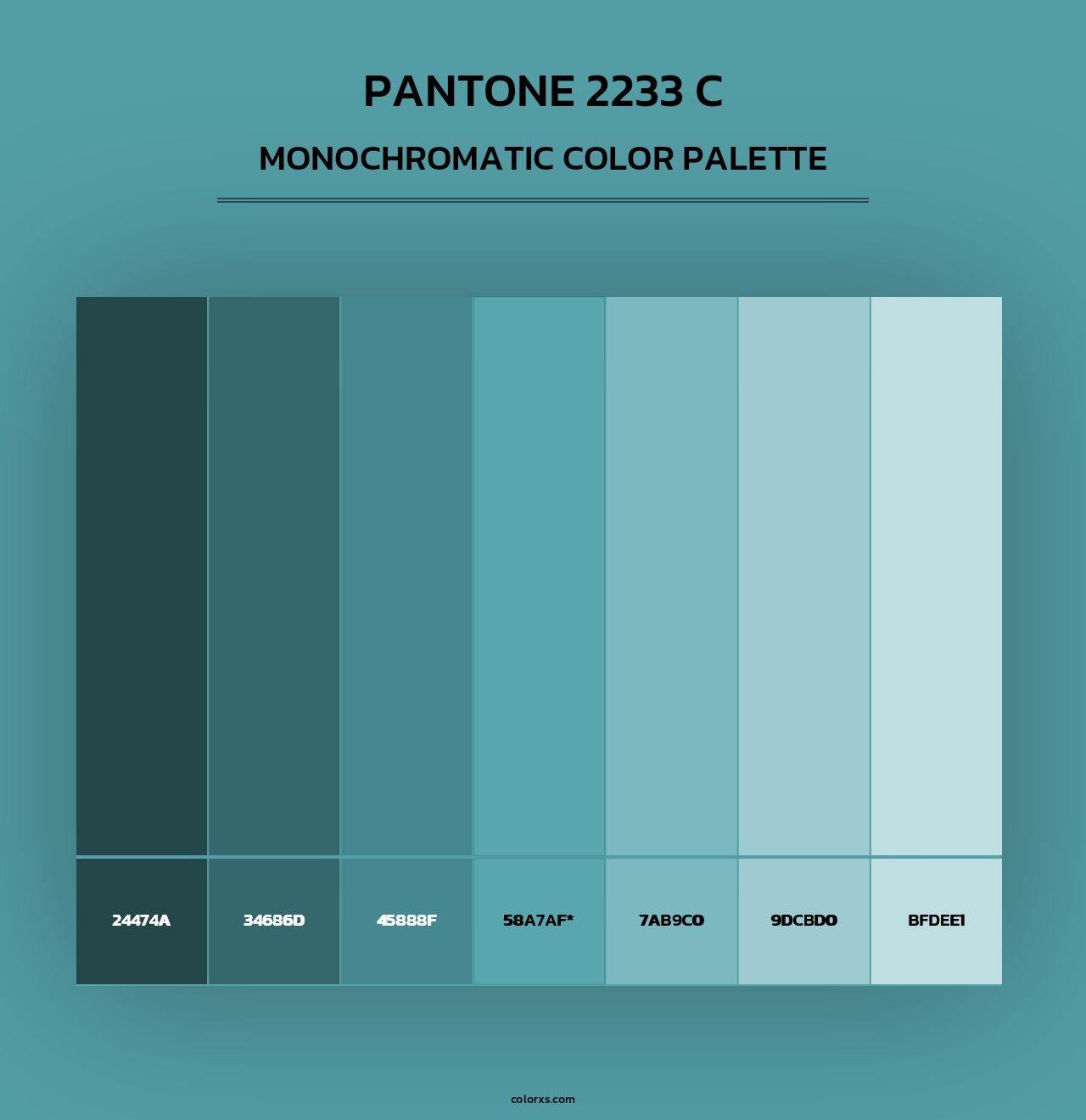 PANTONE 2233 C color palettes - colorxs.com