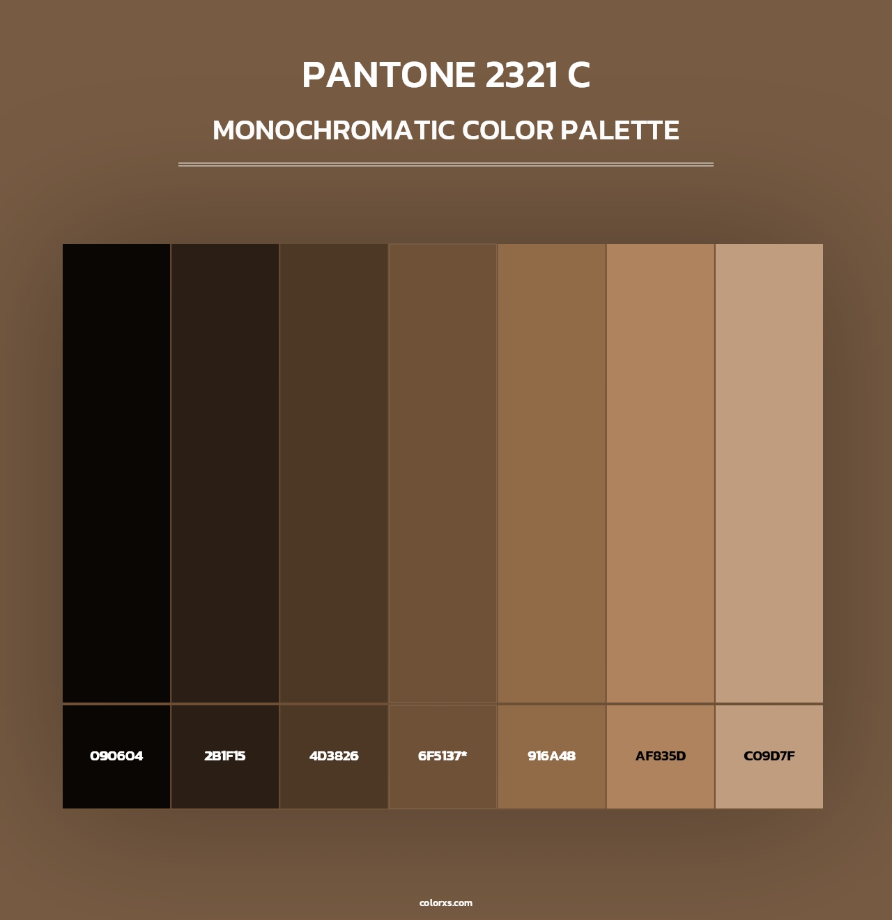 PANTONE 2321 C color palettes - colorxs.com