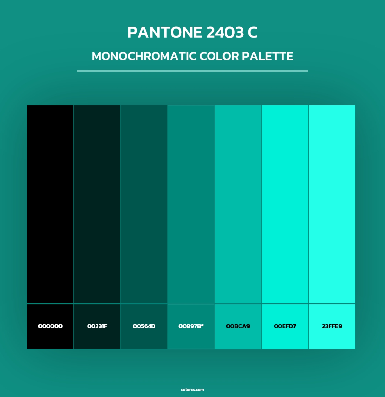 PANTONE 2403 C color palettes - colorxs.com
