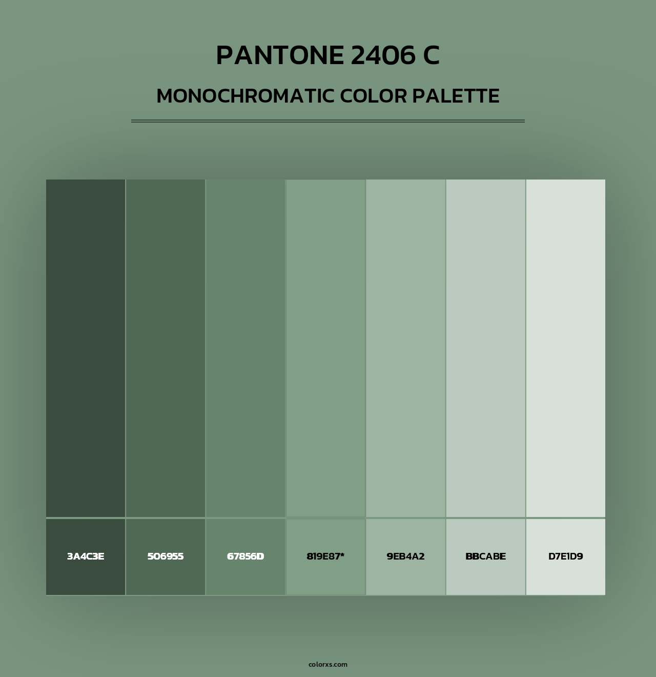 PANTONE 2406 C color palettes - colorxs.com