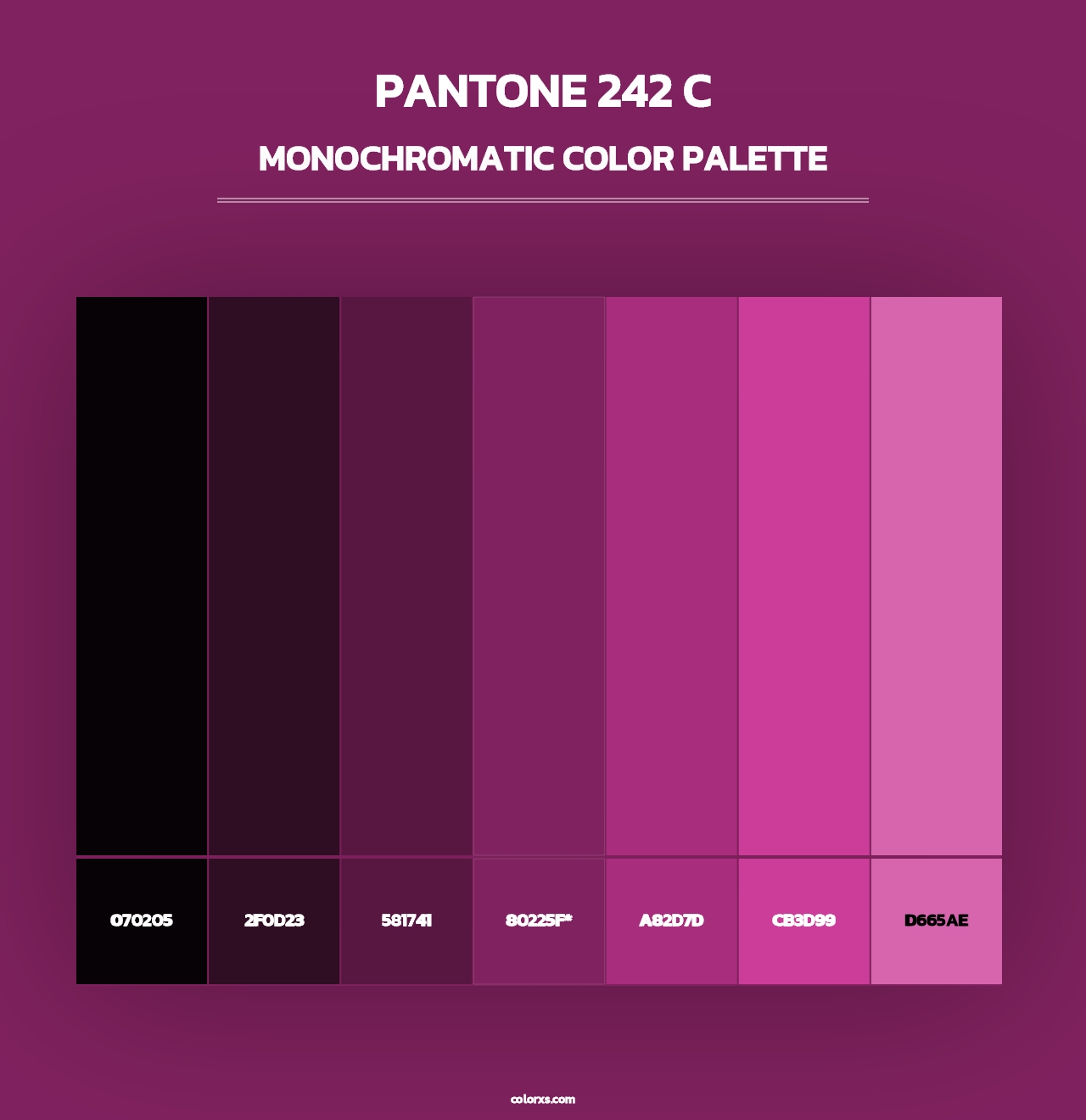 PANTONE 242 C color palettes - colorxs.com