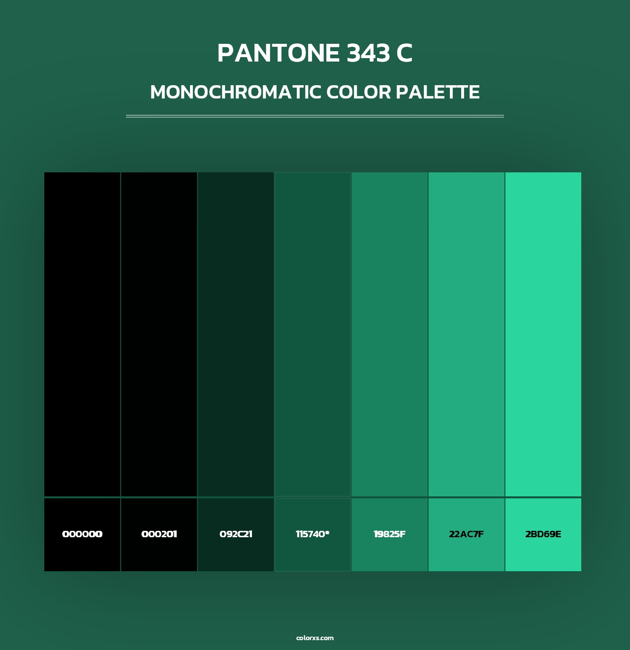 PANTONE 343 C color palettes - colorxs.com