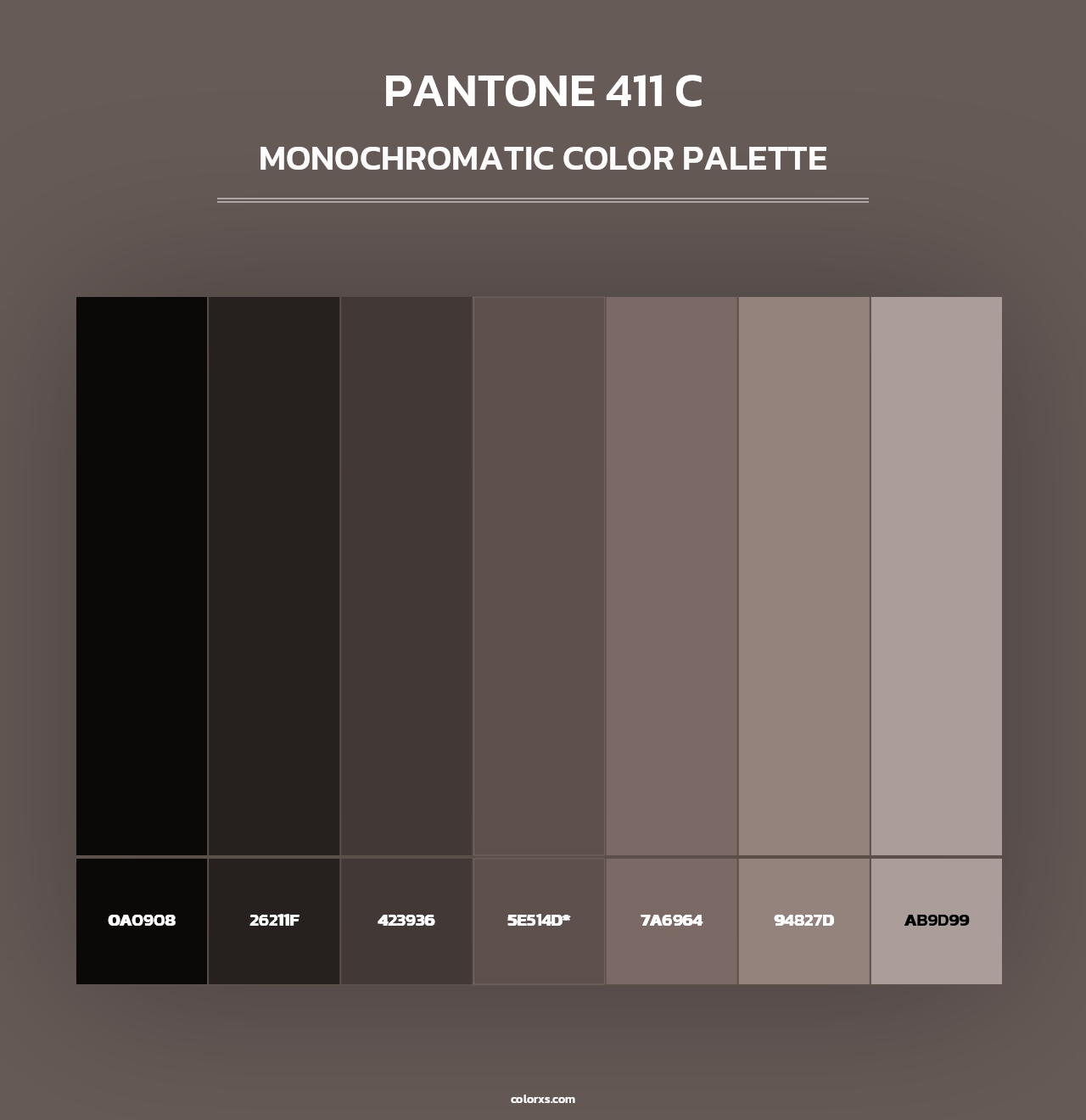 PANTONE 411 C color palettes - colorxs.com