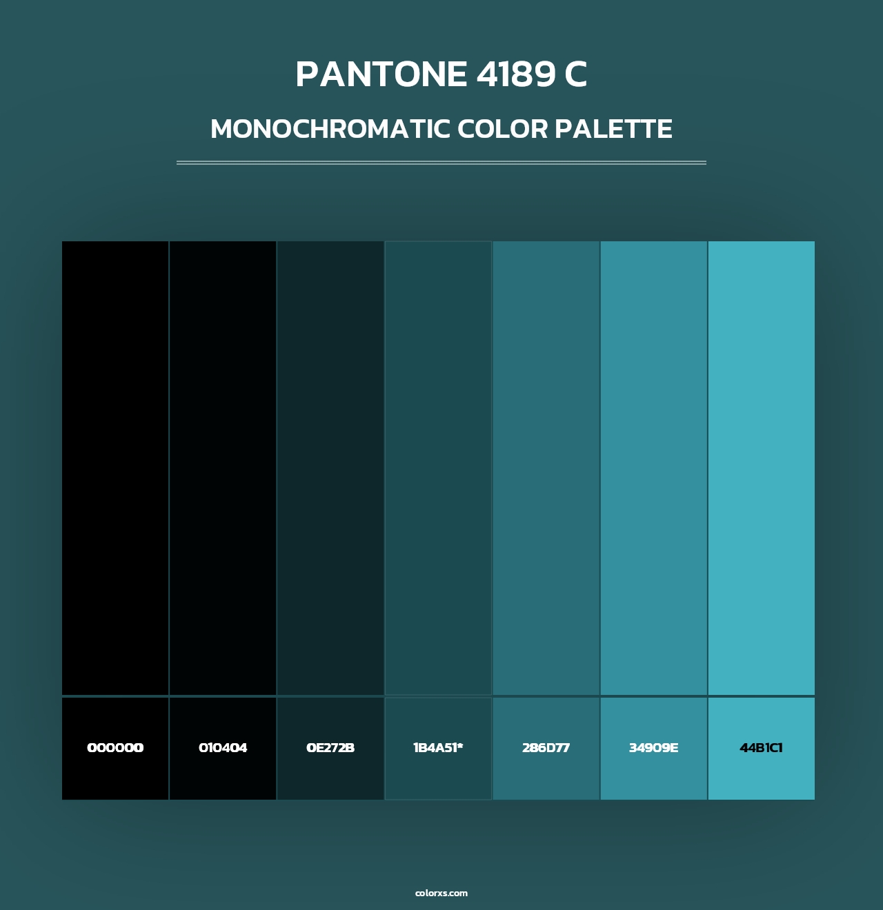PANTONE 4189 C color palettes - colorxs.com