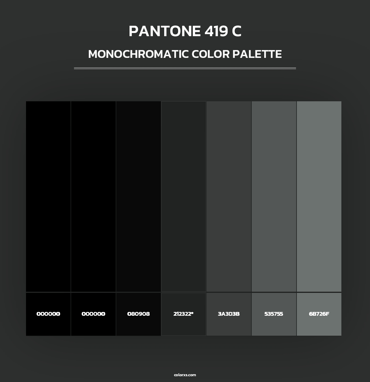 PANTONE 419 C color palettes - colorxs.com