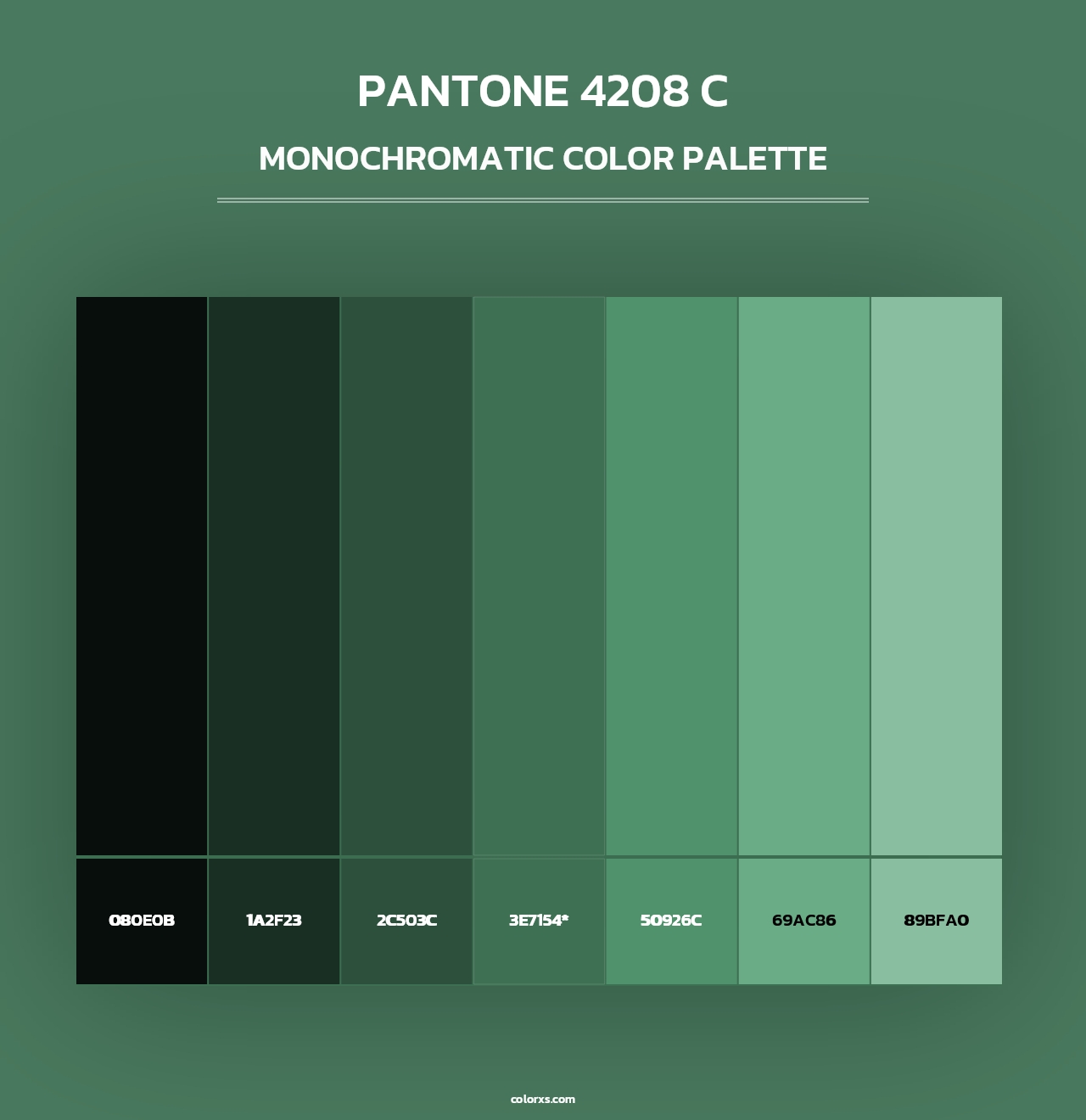 PANTONE 4208 C color palettes - colorxs.com