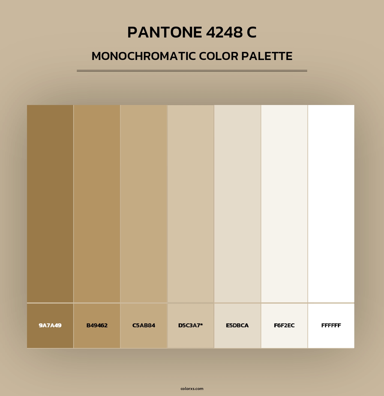PANTONE 4248 C color palettes - colorxs.com