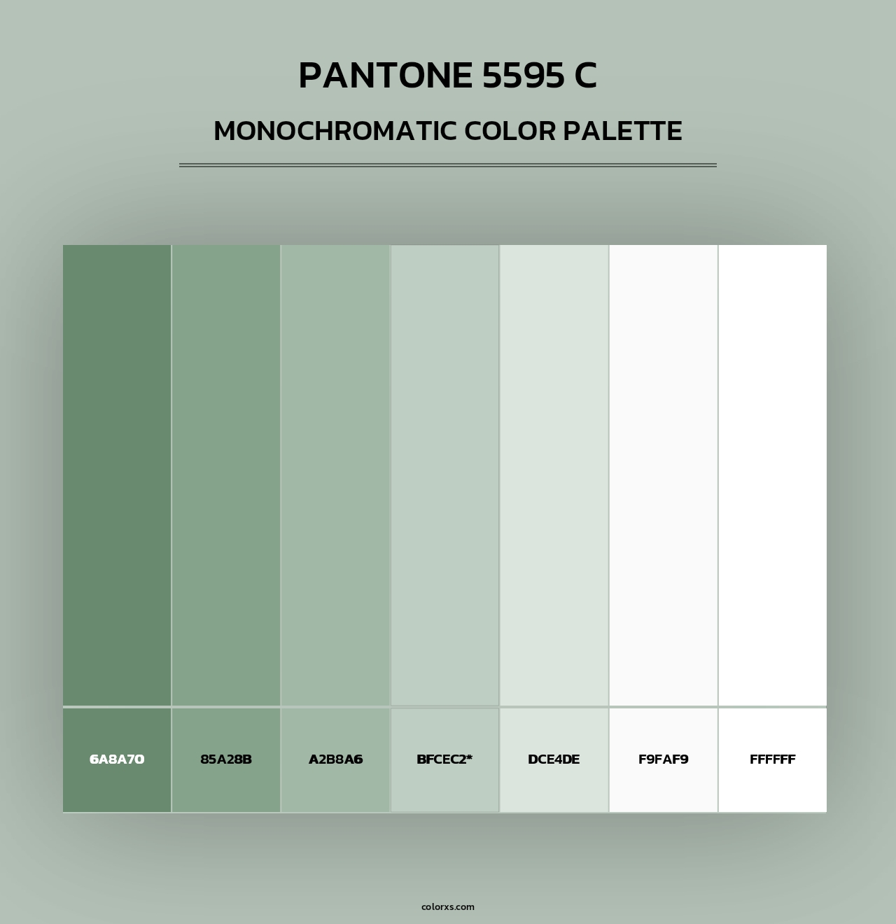 PANTONE 5595 C color palettes - colorxs.com