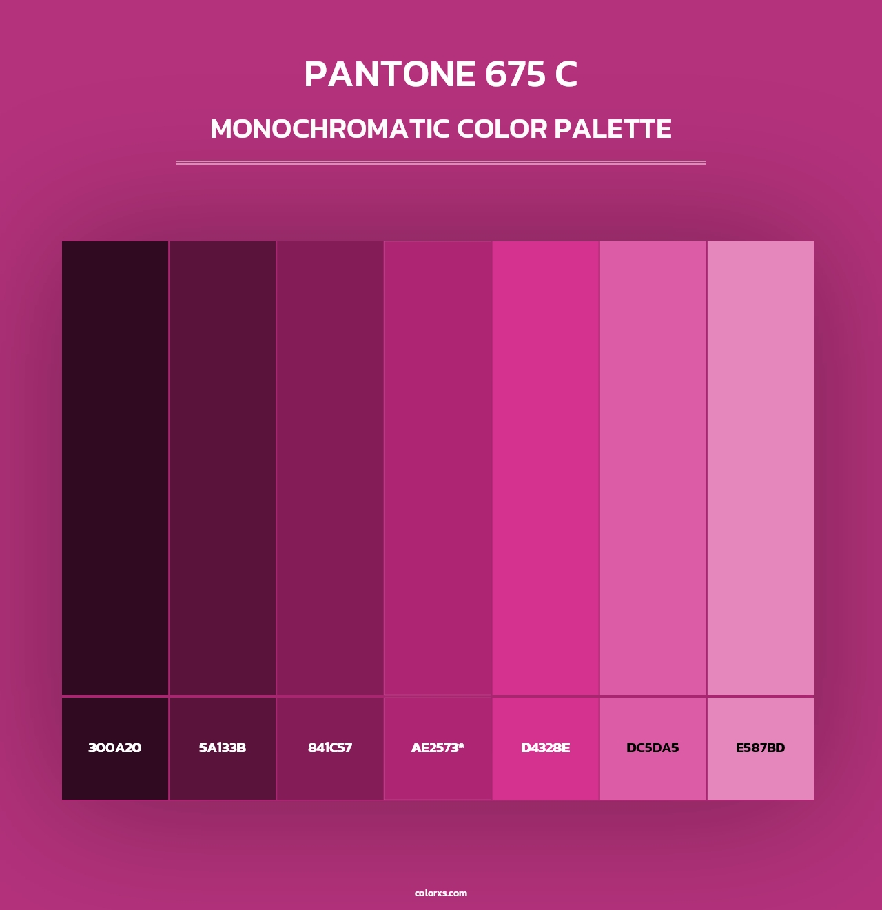 PANTONE 675 C color palettes - colorxs.com
