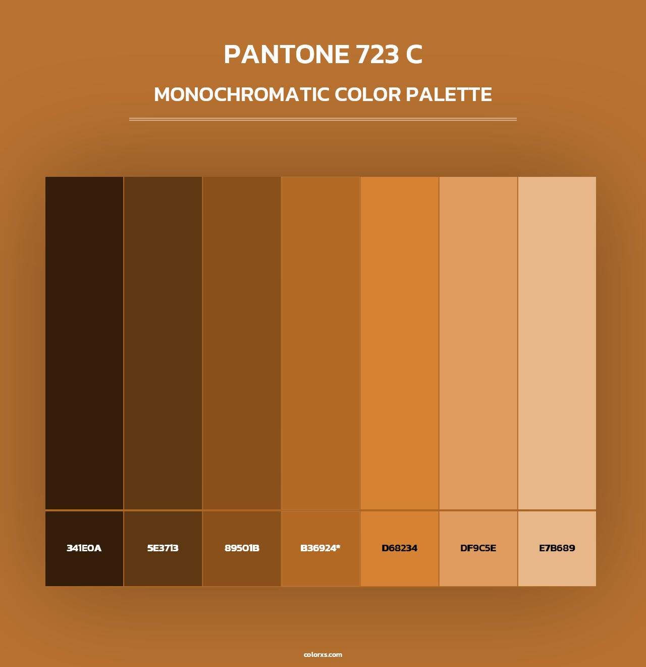 PANTONE 723 C color palettes - colorxs.com