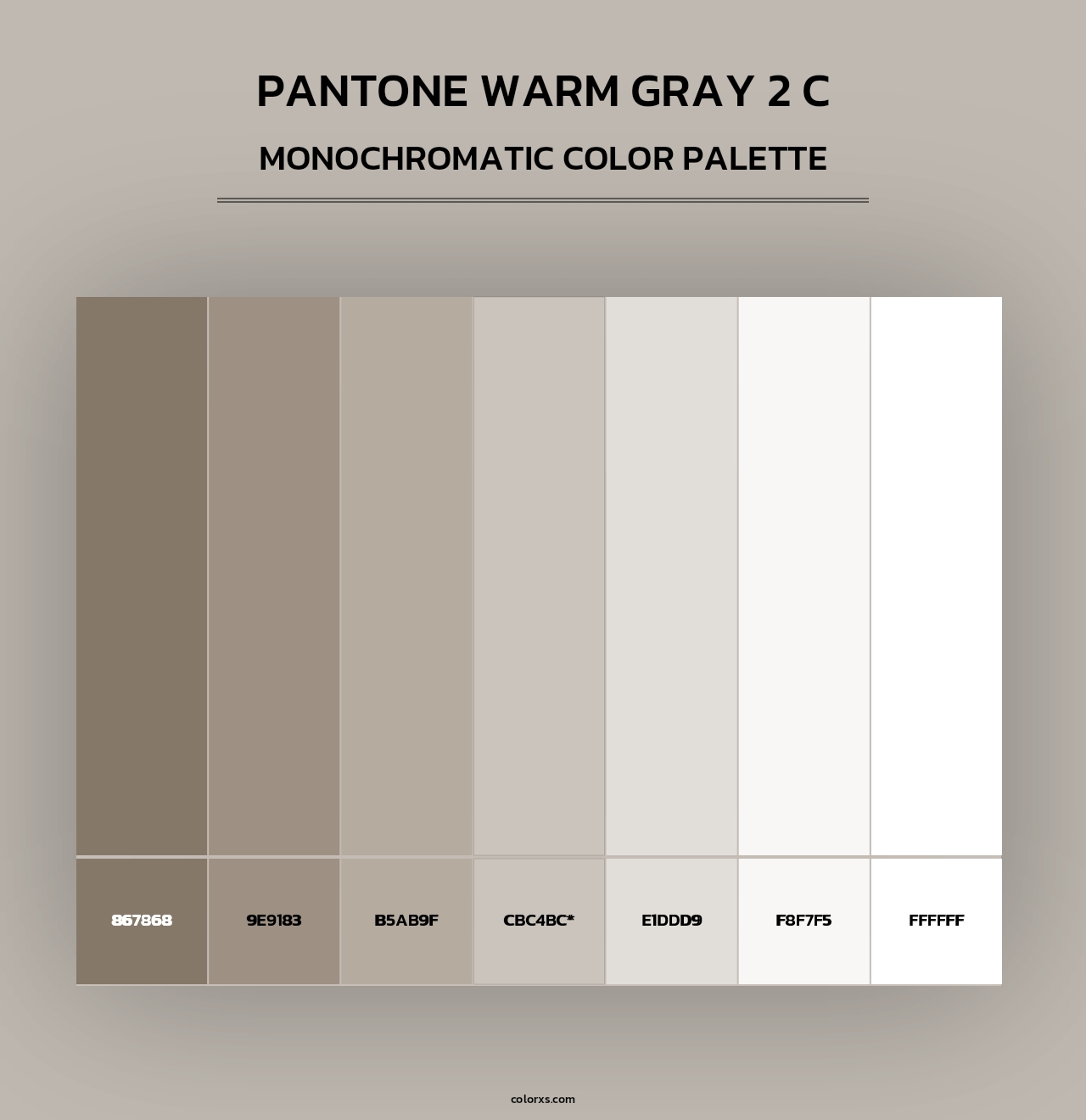 PANTONE Warm Gray 2 C color palettes - colorxs.com