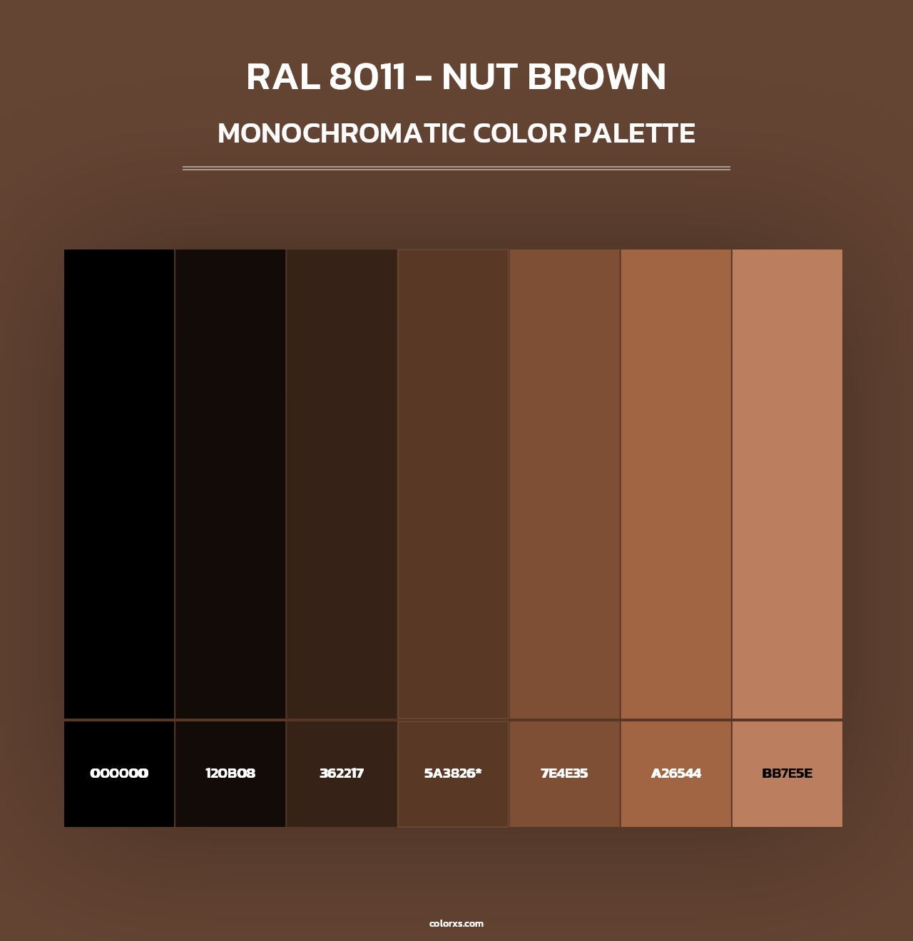 RAL 8011 - Nut Brown color palettes - colorxs.com