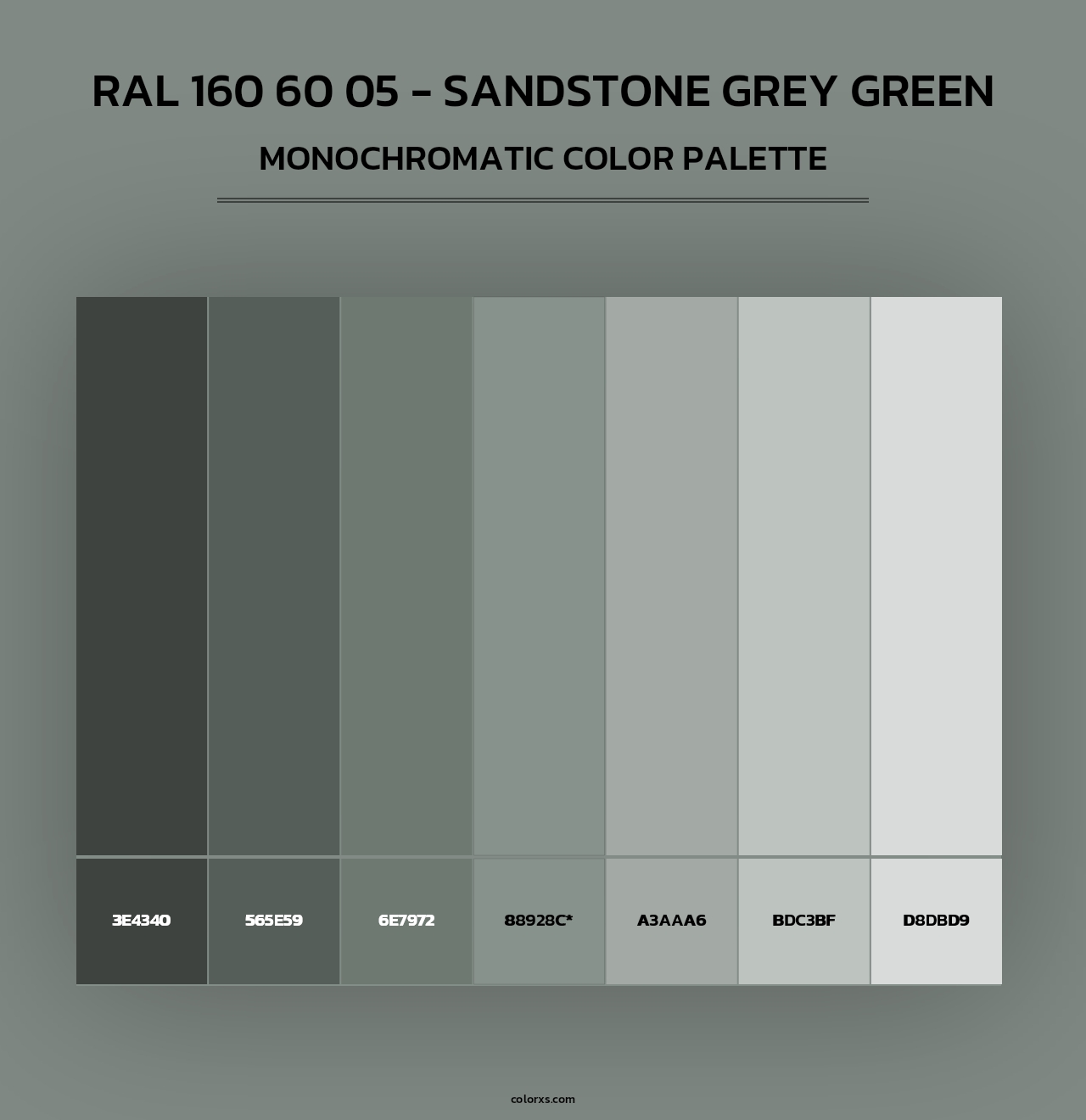 RAL 160 60 05 - Sandstone Grey Green color palettes - colorxs.com