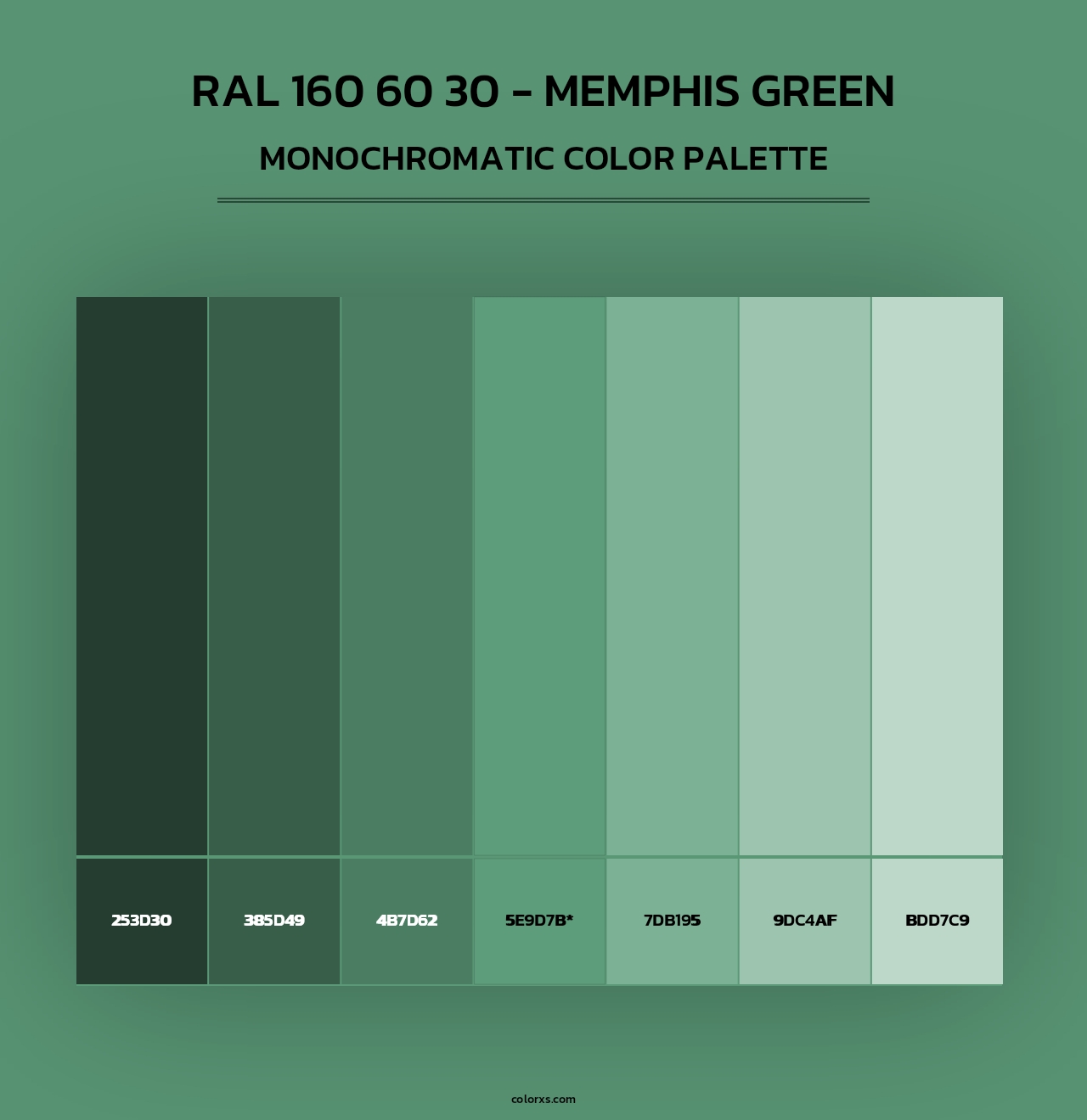 RAL 160 60 30 - Memphis Green color palettes - colorxs.com