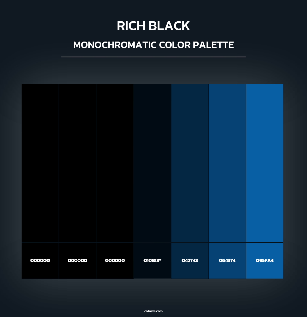 Rich Black color palettes - colorxs.com