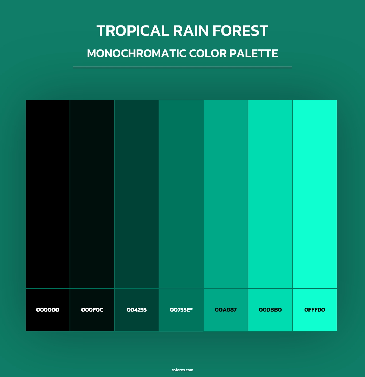 Tropical Rain Forest color palettes - colorxs.com
