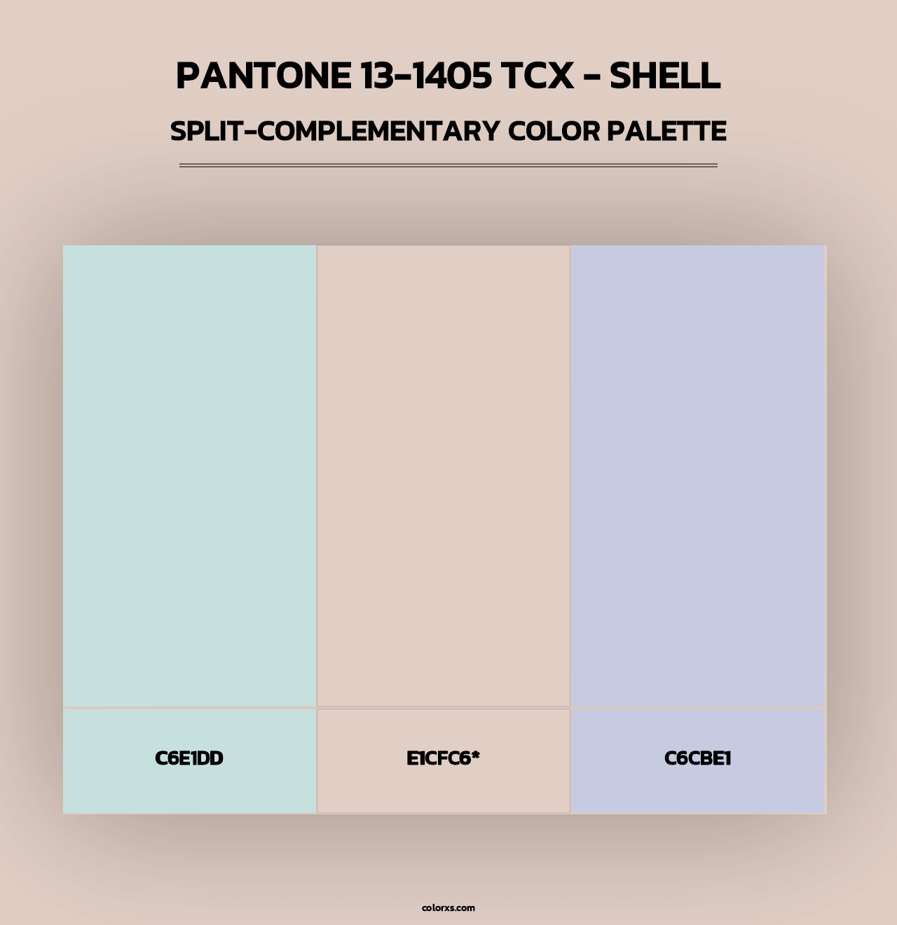 PANTONE 13-1405 TCX - Shell color palettes - colorxs.com