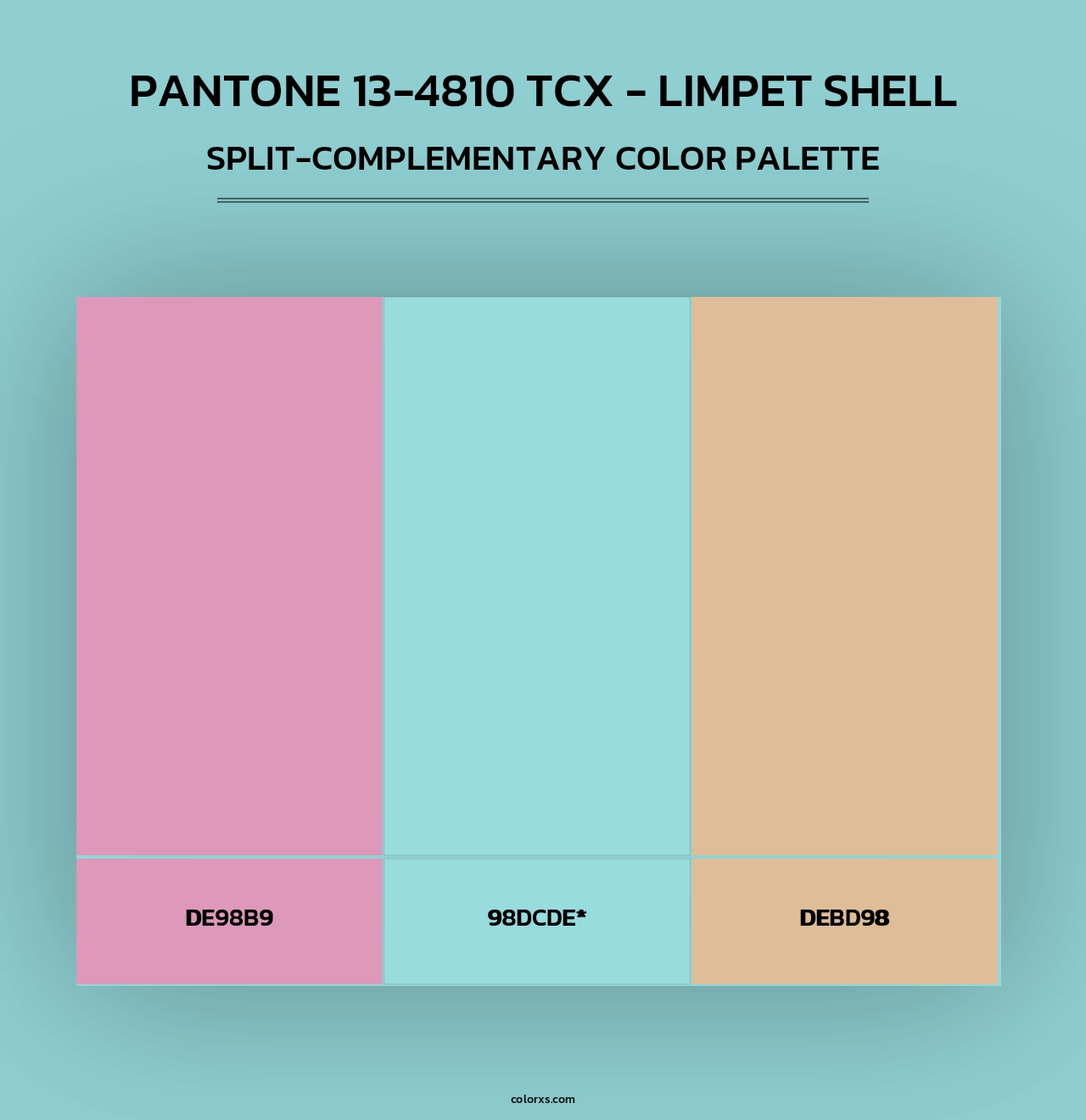 PANTONE 13-4810 TCX - Limpet Shell color palettes - colorxs.com