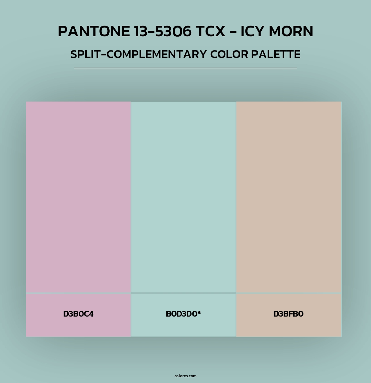 PANTONE 13-5306 TCX - Icy Morn color palettes - colorxs.com