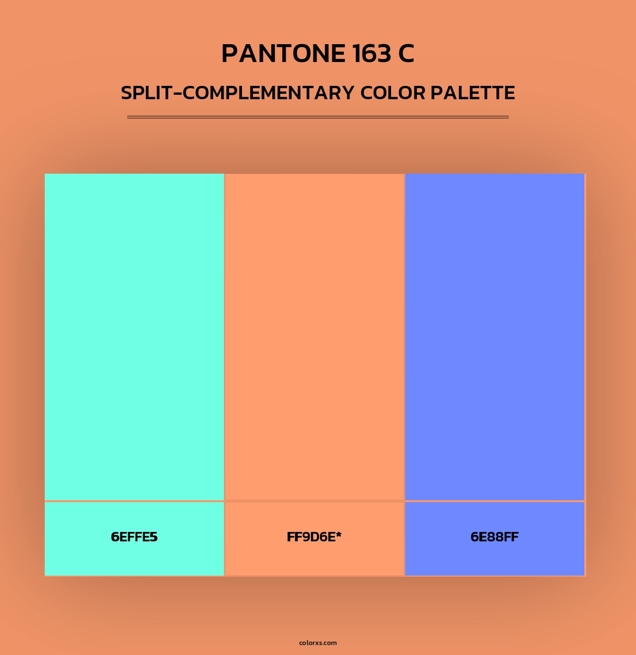 PANTONE 163 C color palettes - colorxs.com