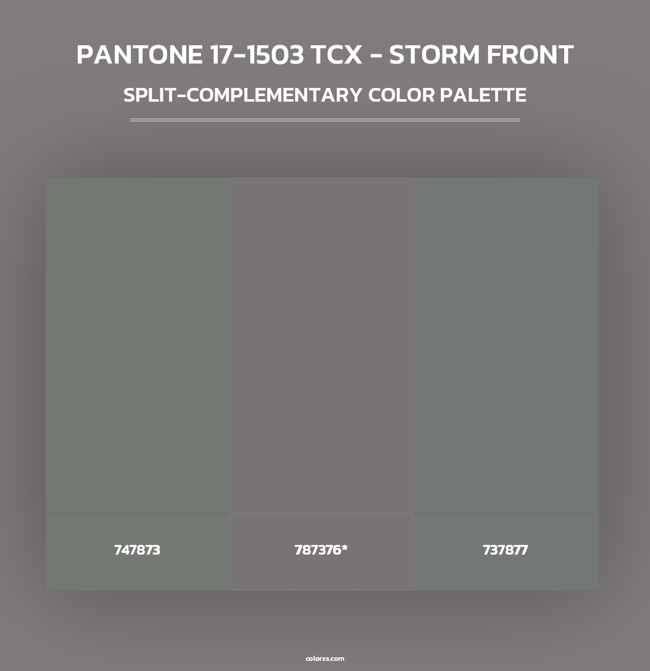 PANTONE 17-1503 TCX - Storm Front color palettes - colorxs.com