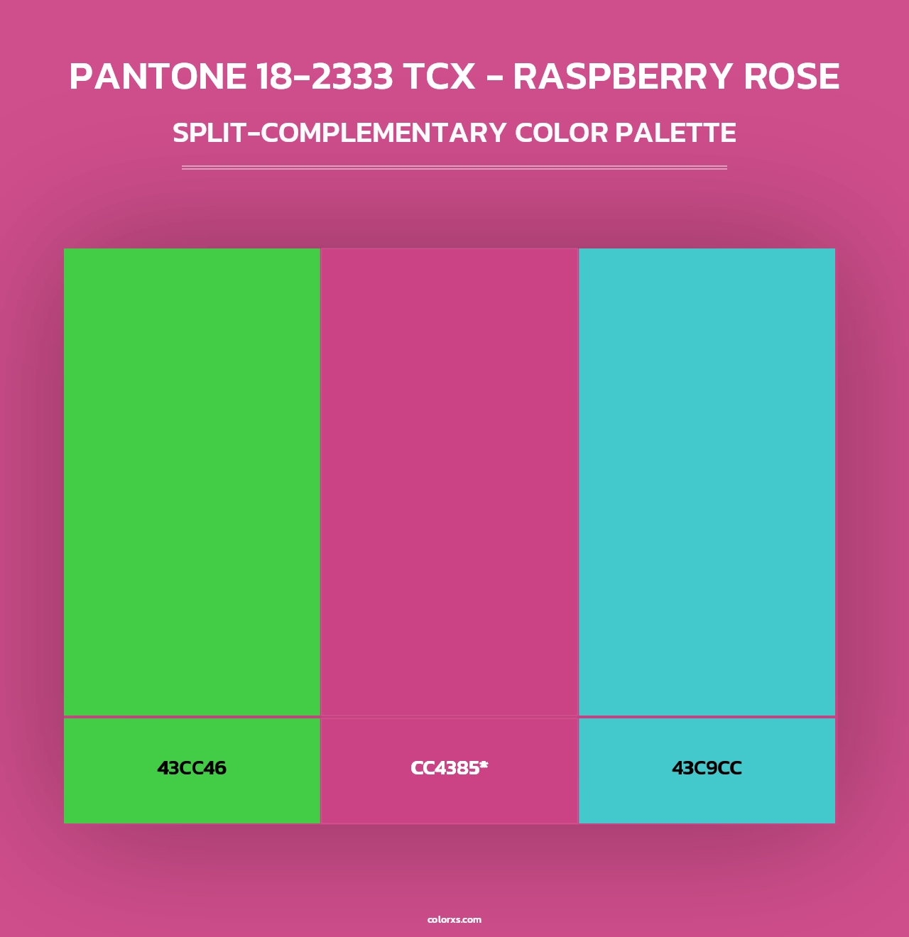 PANTONE 18-2333 TCX - Raspberry Rose color palettes - colorxs.com