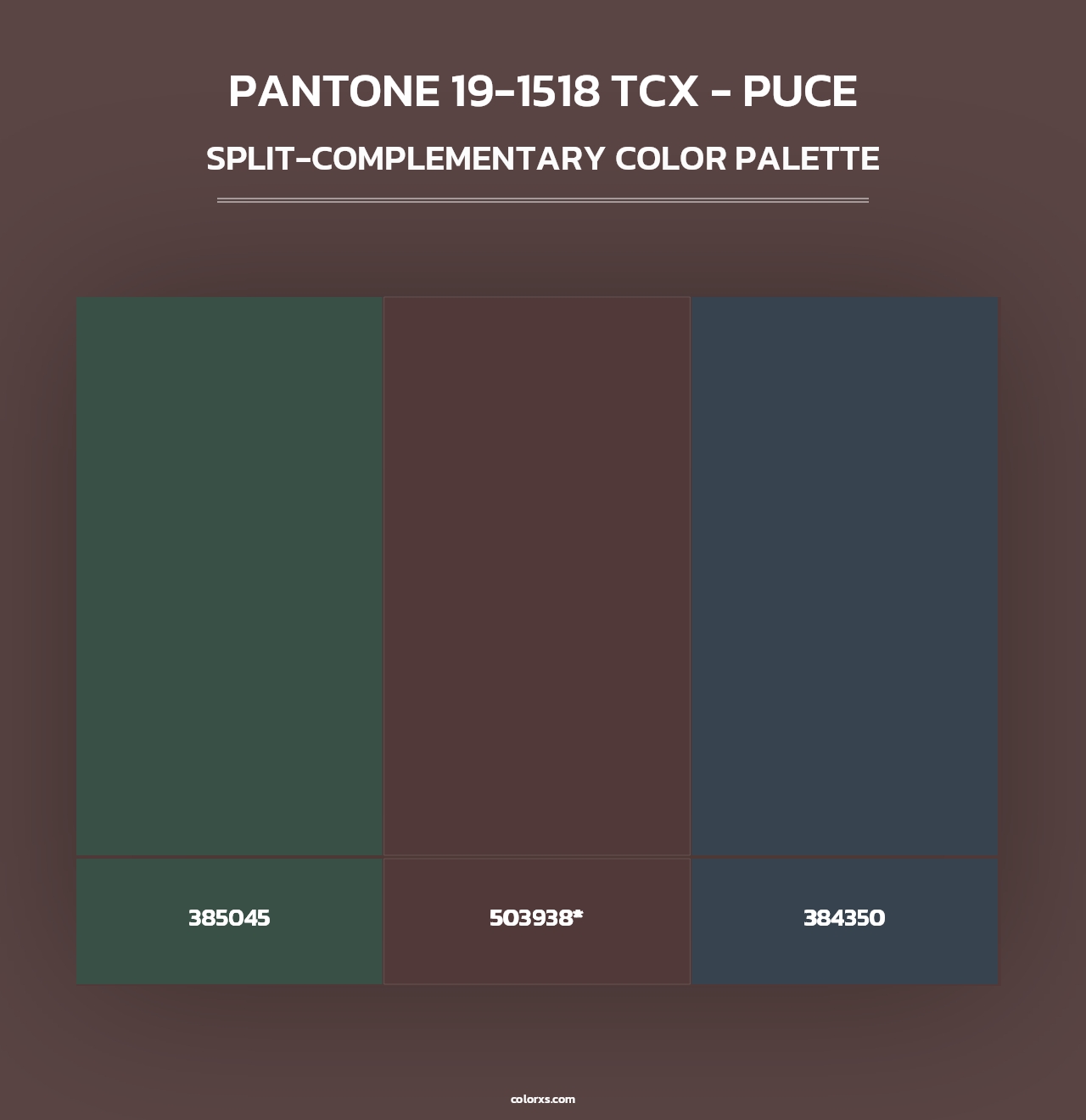 PANTONE 19-1518 TCX - Puce color palettes - colorxs.com