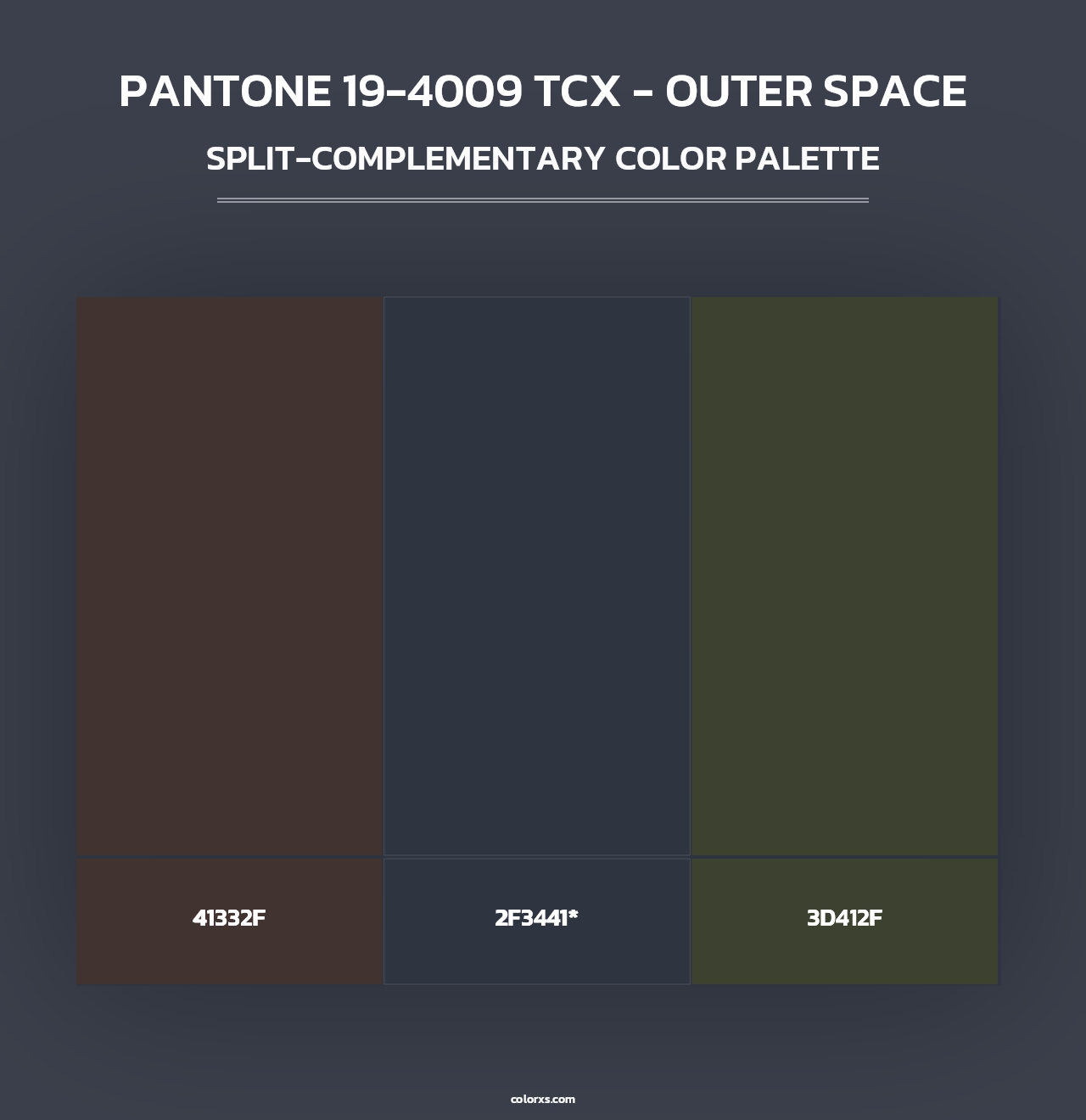 PANTONE 19-4009 TCX - Outer Space color palettes - colorxs.com