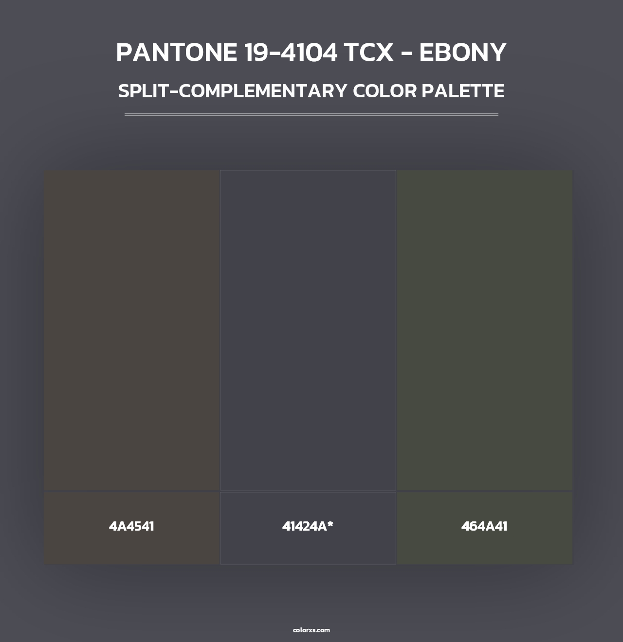 PANTONE 19-4104 TCX - Ebony color palettes - colorxs.com