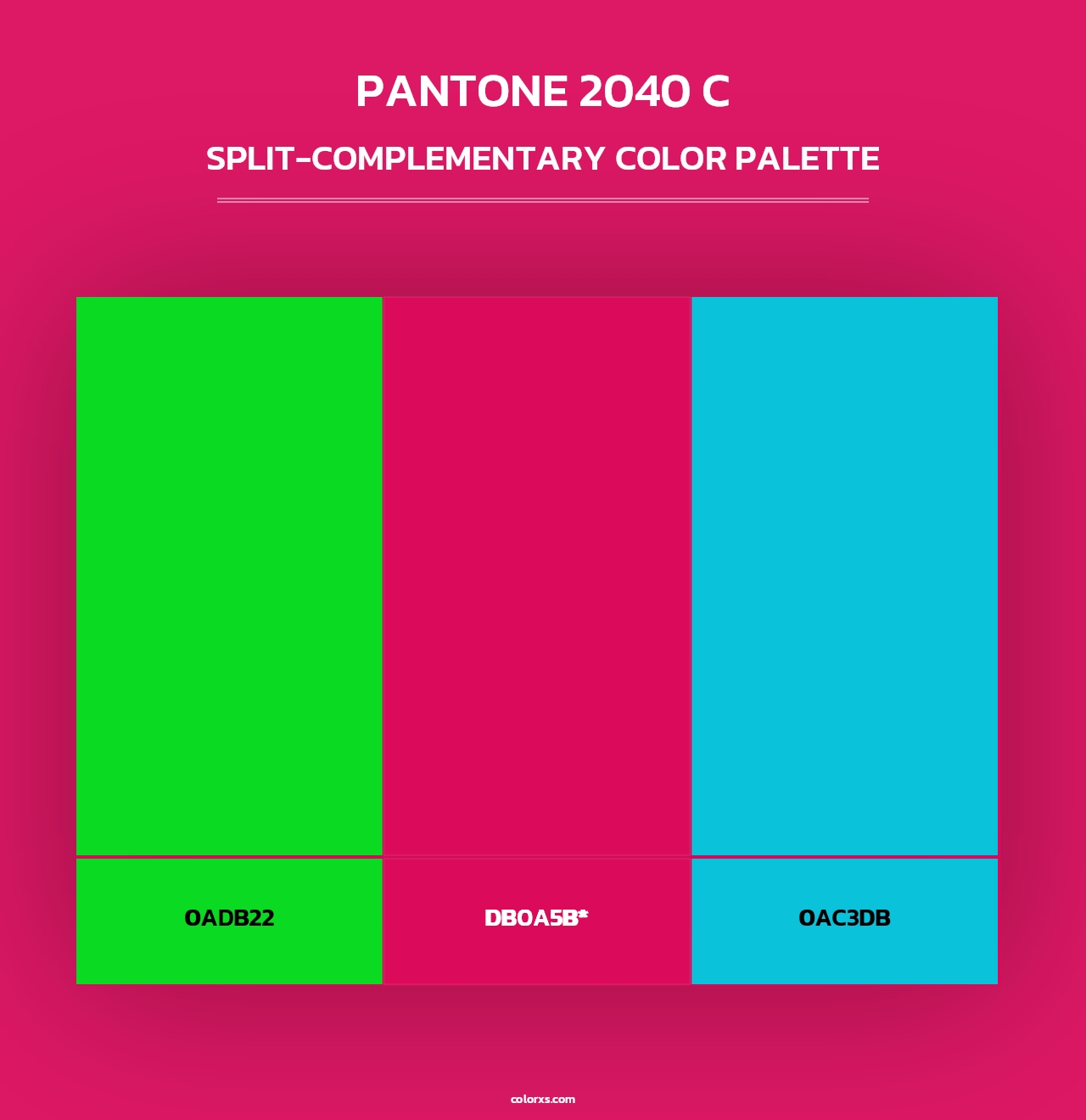 PANTONE 2040 C color palettes - colorxs.com