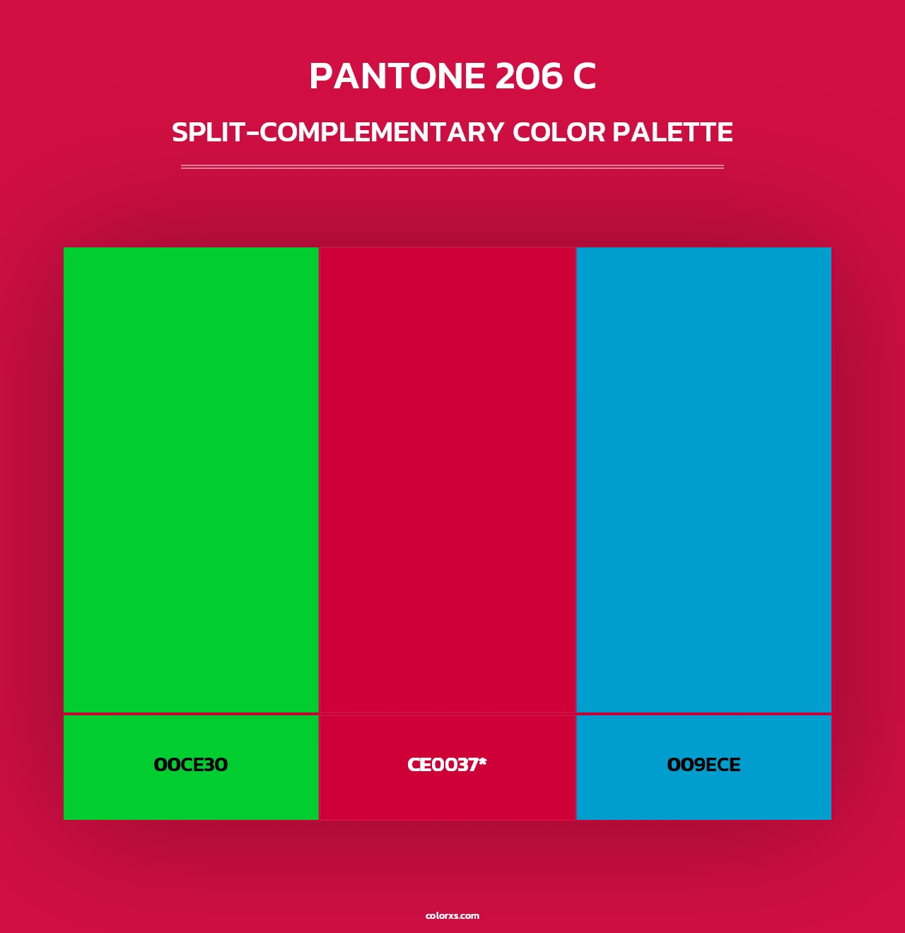 PANTONE 206 C color palettes - colorxs.com