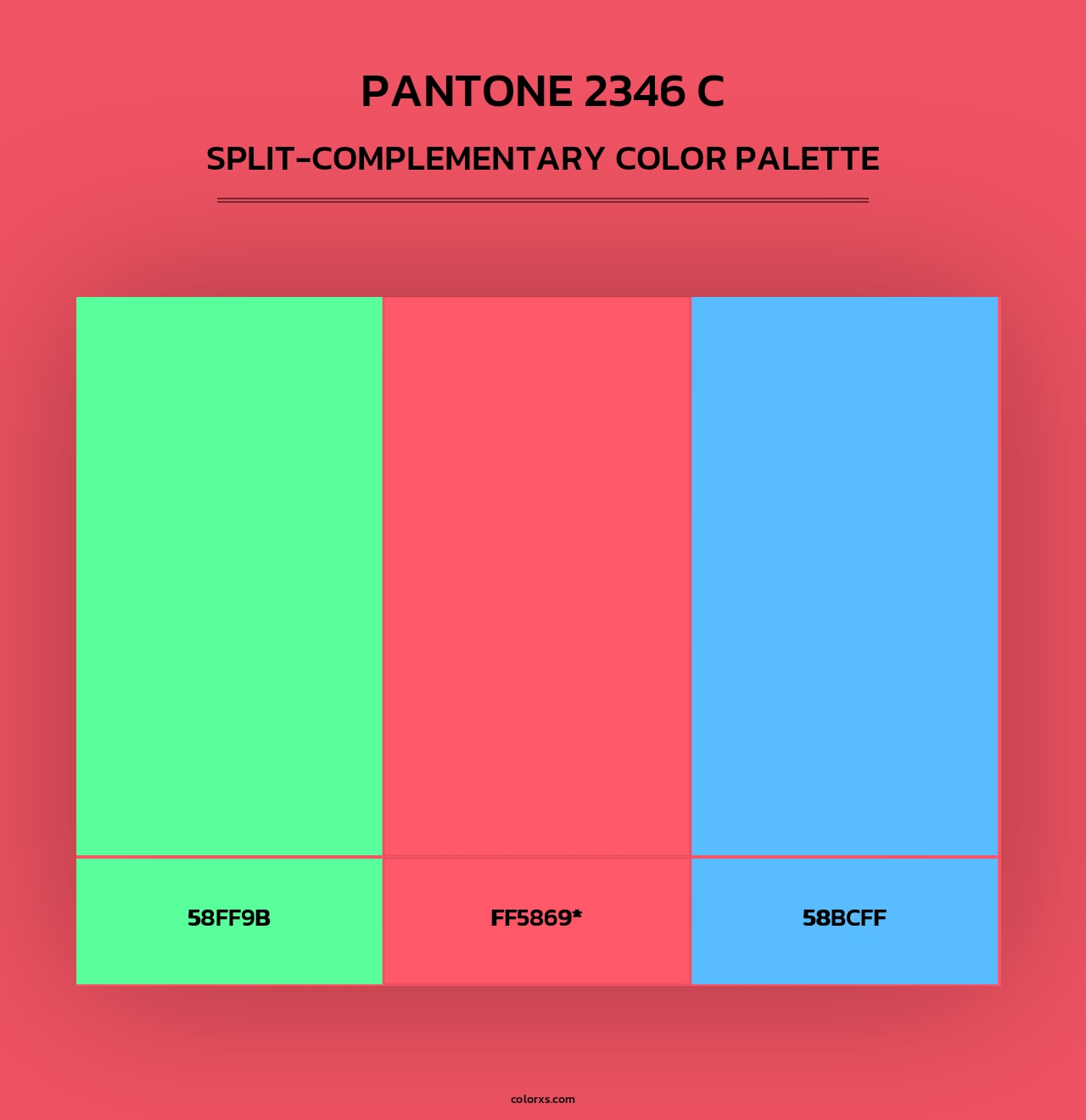 PANTONE 2346 C color palettes - colorxs.com