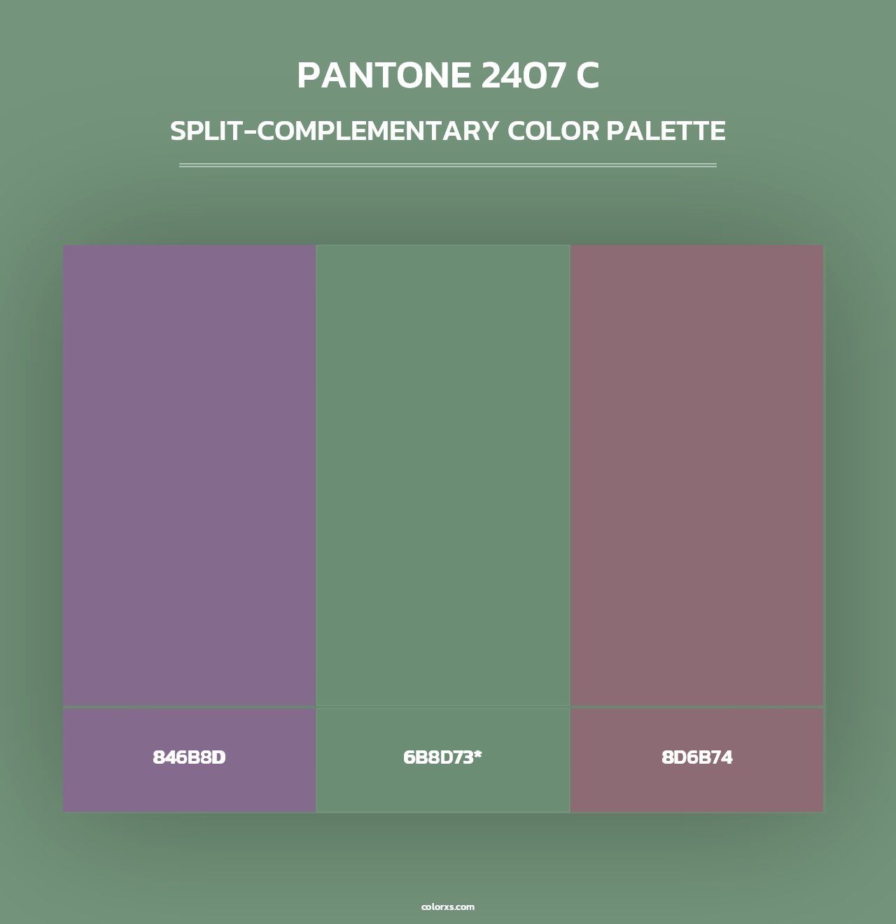PANTONE 2407 C color palettes - colorxs.com