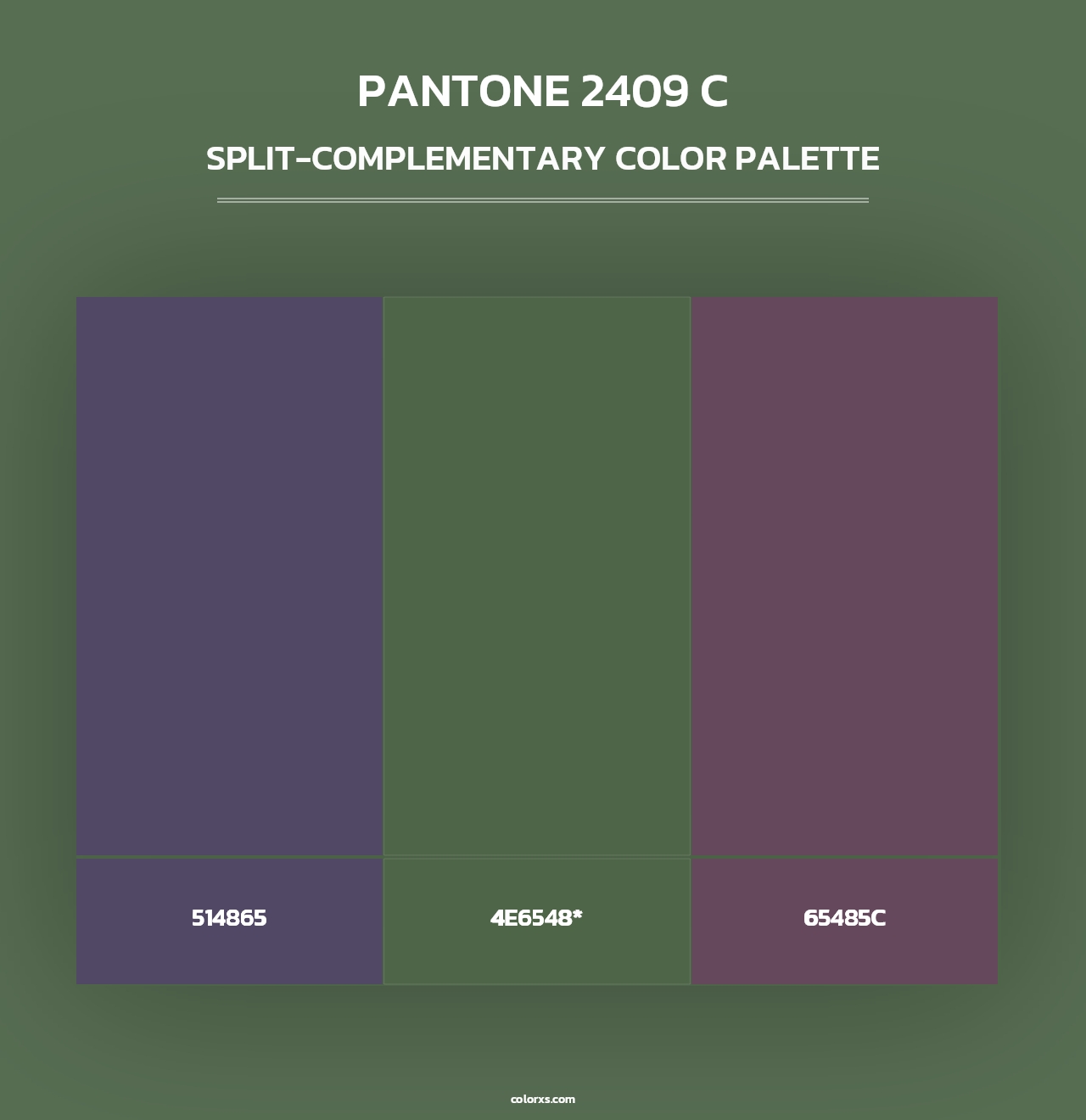 PANTONE 2409 C color palettes - colorxs.com