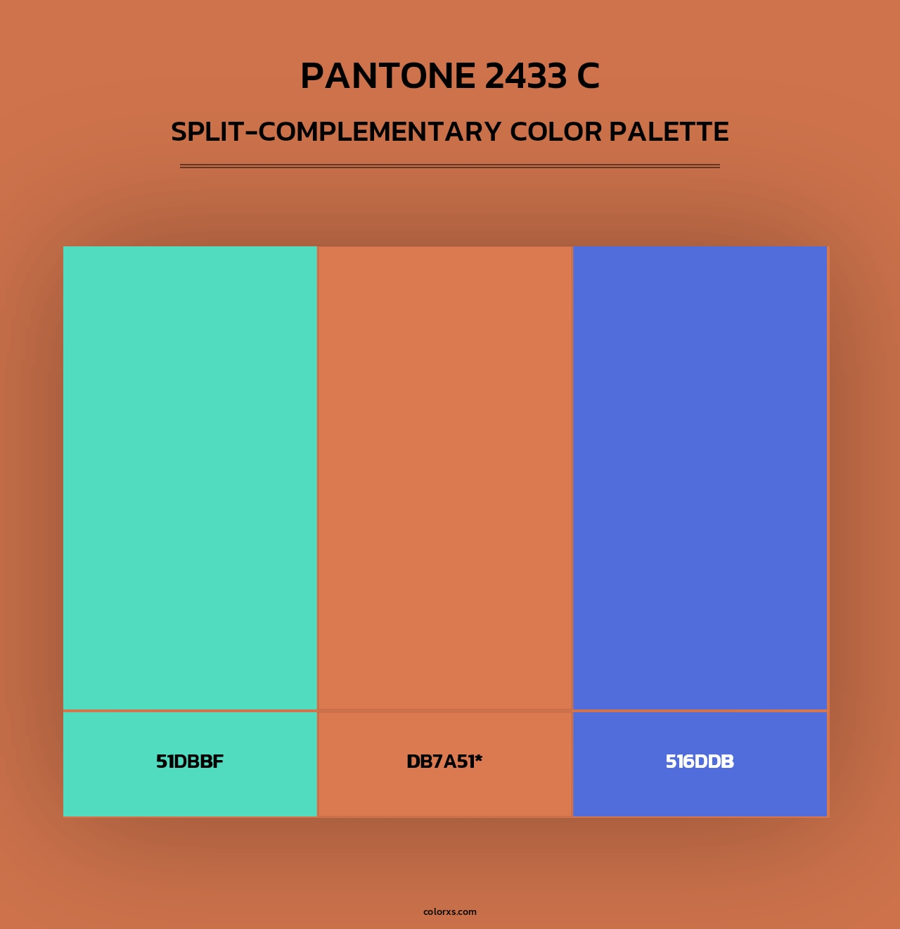 PANTONE 2433 C color palettes - colorxs.com